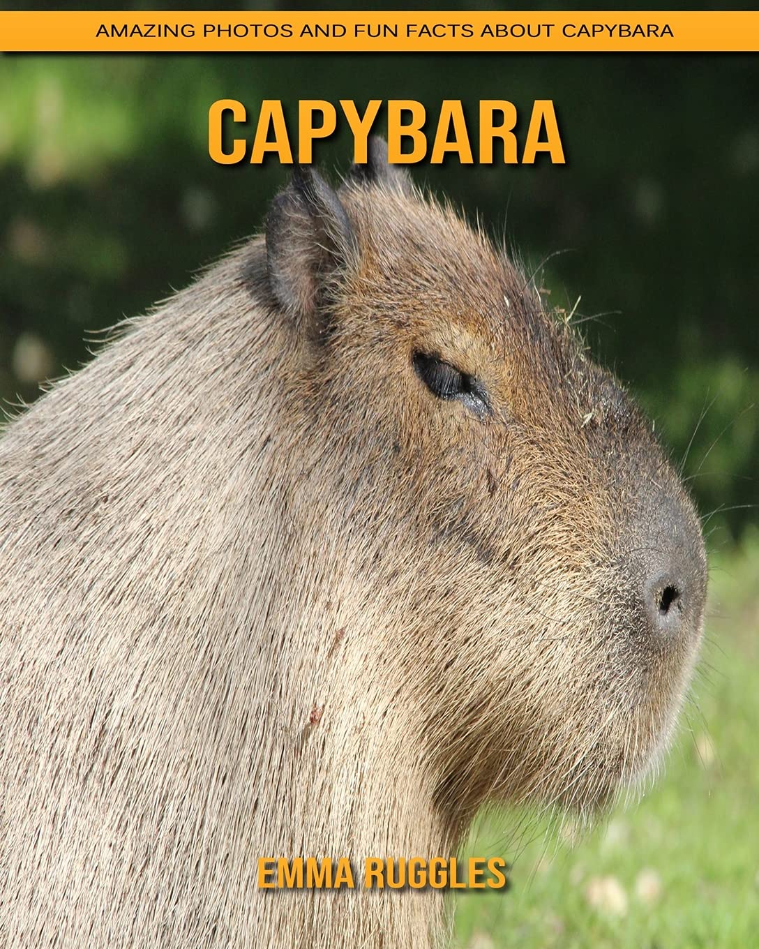 Capybara Amazing Photos And Fun Facts About Capybara | Desertcart INDIA