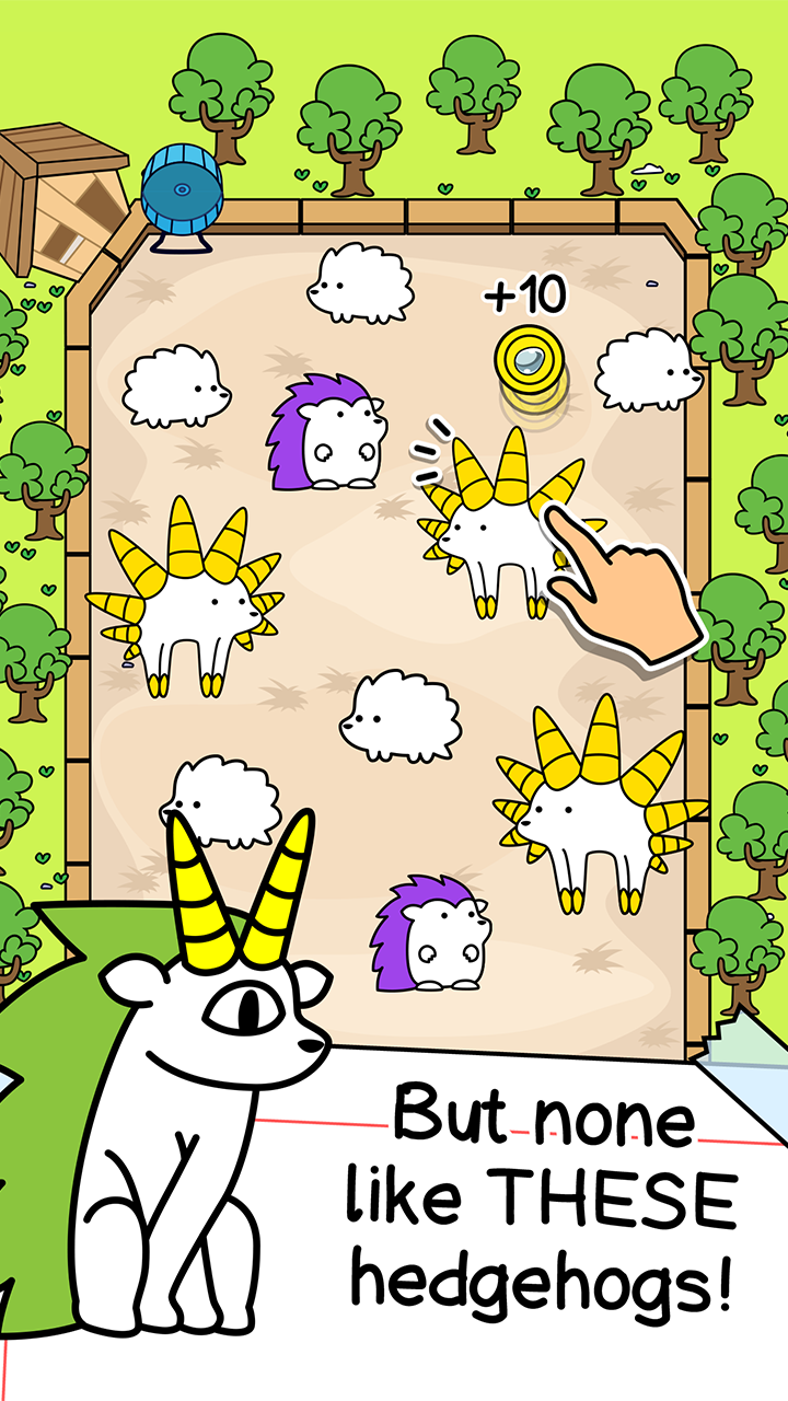 Hedgehog Evolution - App on Amazon Appstore