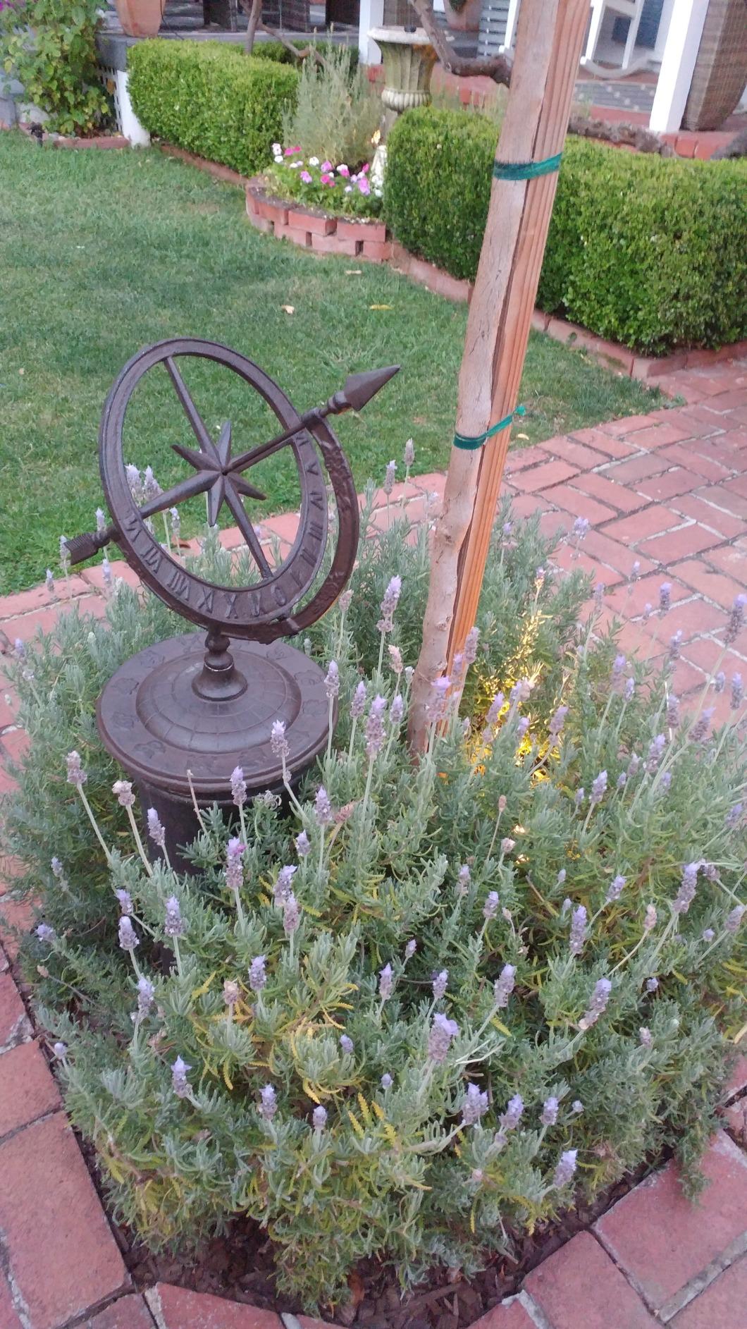 Amazon.com : GSM Iron Armillary Sundial with Arrow : Home & Kitchen