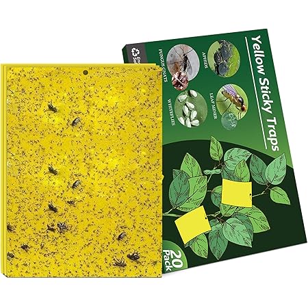 Amazon.com : Faicuk 20-Pack Dual-Sided Yellow Sticky Traps for Flying ...