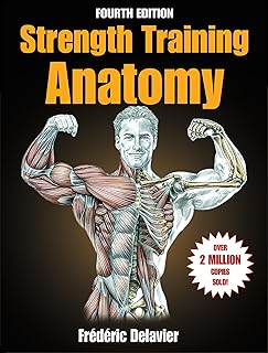 Describing Muscles: A Guide To Powerful Anatomy Descriptions | CyVigor