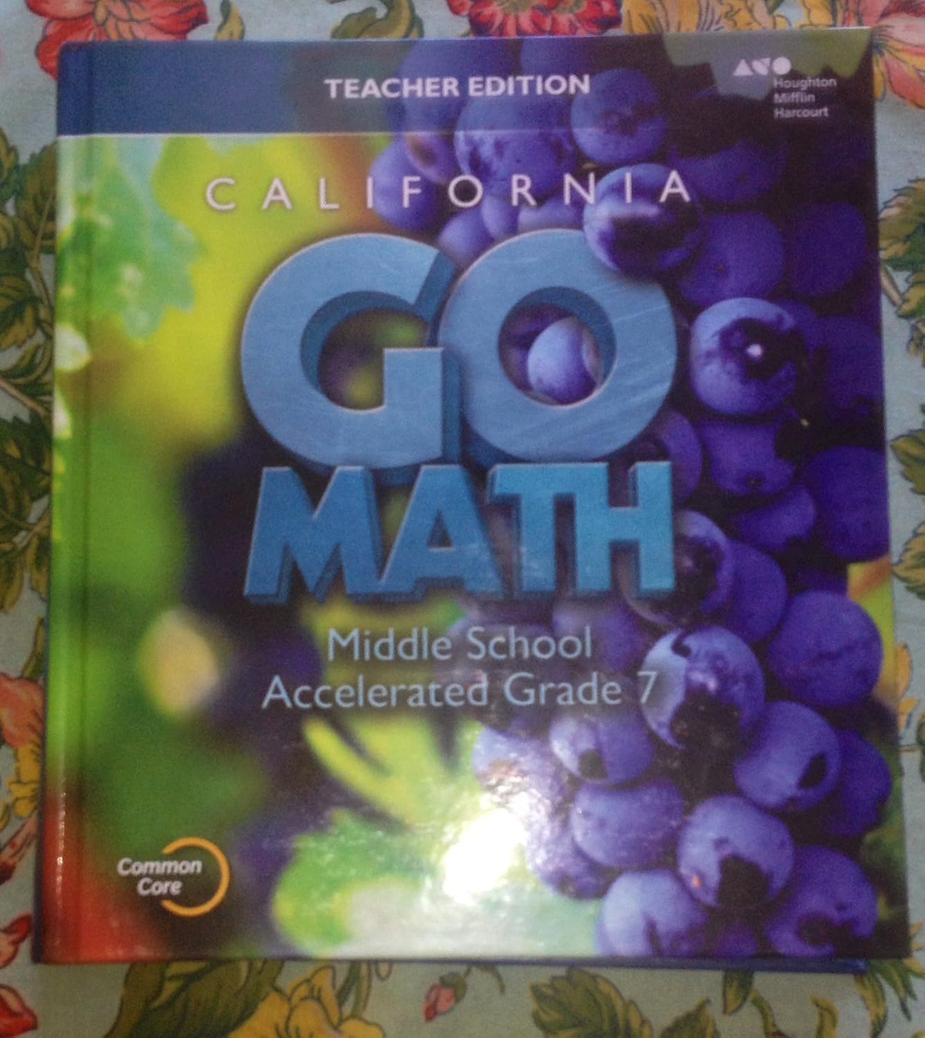 Buy Teacher One Stop Planner Dvd-rom (Holt Mcdougal Go Math!) Book ...