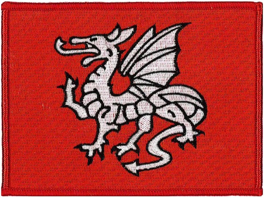 Amazon.com: Another Quality product from Klicnow English Pendragon ...