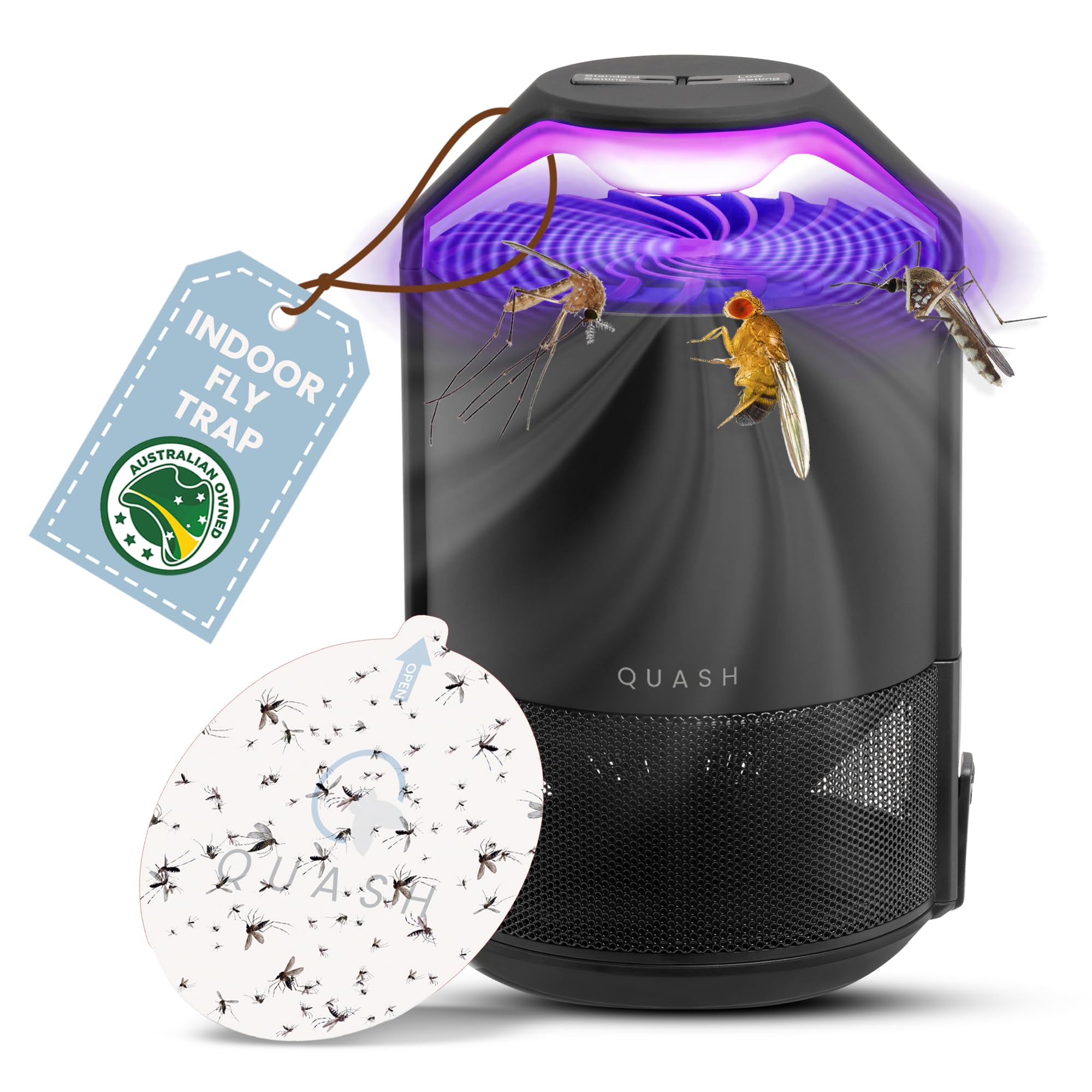 QUASH Indoor Fly Trap – Non-Zapper Mosquito & Bug Catcher with UV Light ...