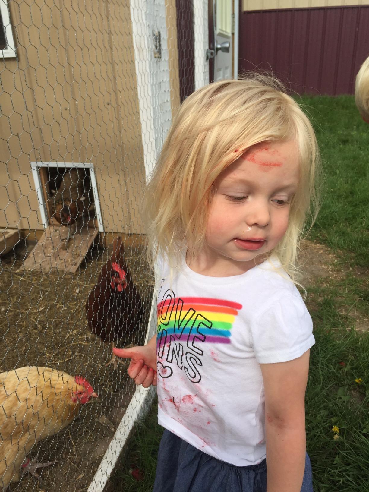 Amazon.com : 30 Pack Spiral Chicken Poultry Leg Bands Rings - #11 11/16 ...