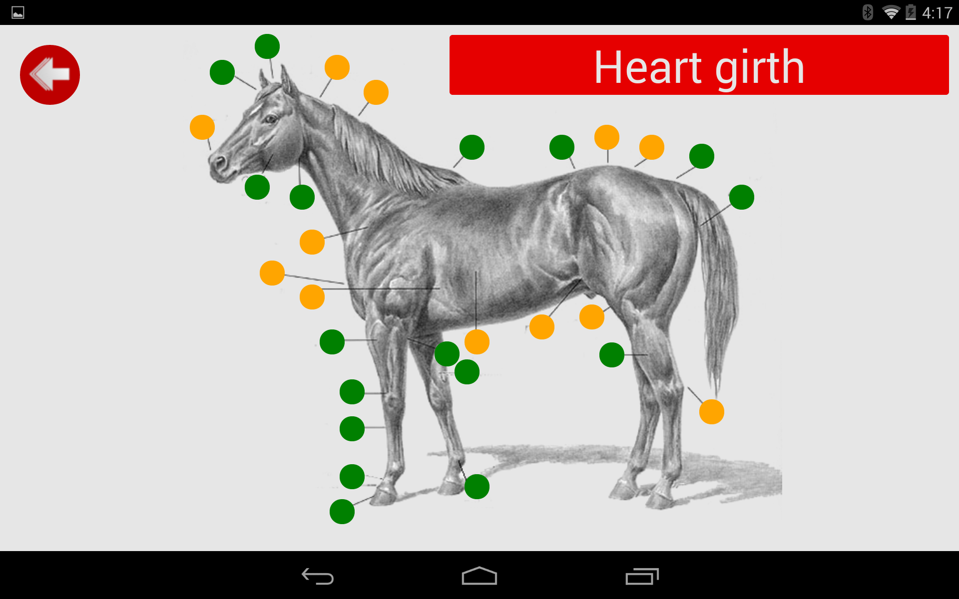 Equus - Horse Education - App on the Amazon Appstore