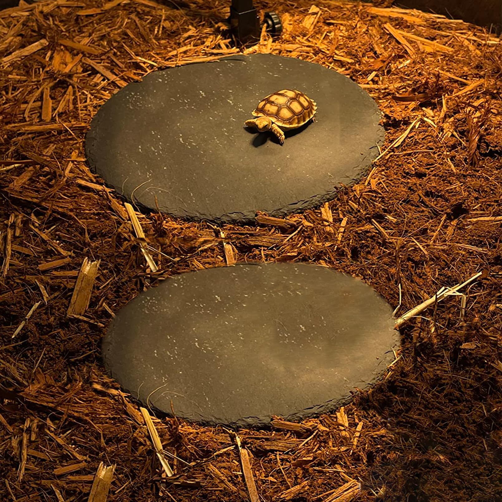 Snapklik.com : Reptile Basking Platform 2PcsTurtle Rock Slate Feeding ...