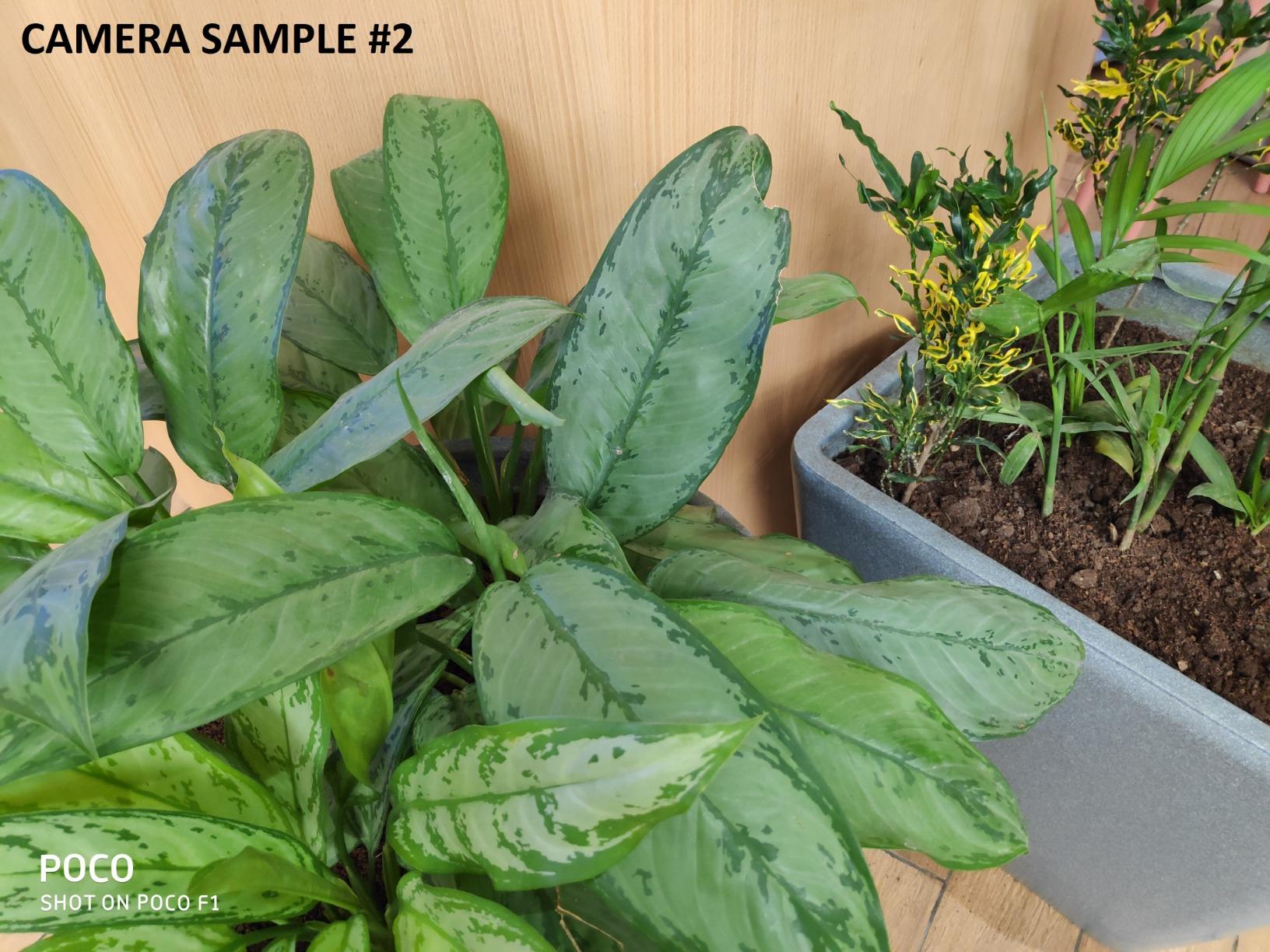 Poco F1 by Xiaomi (Steel Blue, 6GB RAM, SD 845, 128GB Storage) : Amazon ...