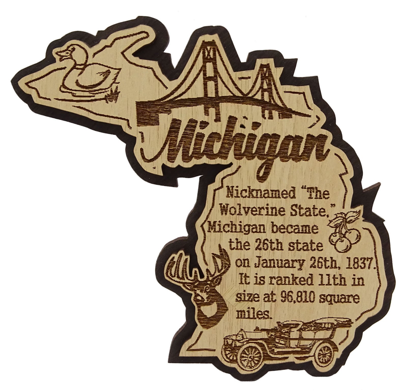 Amazon.com: Printtoo USA Michigan State Map Wooden Magnet Souvenir ...