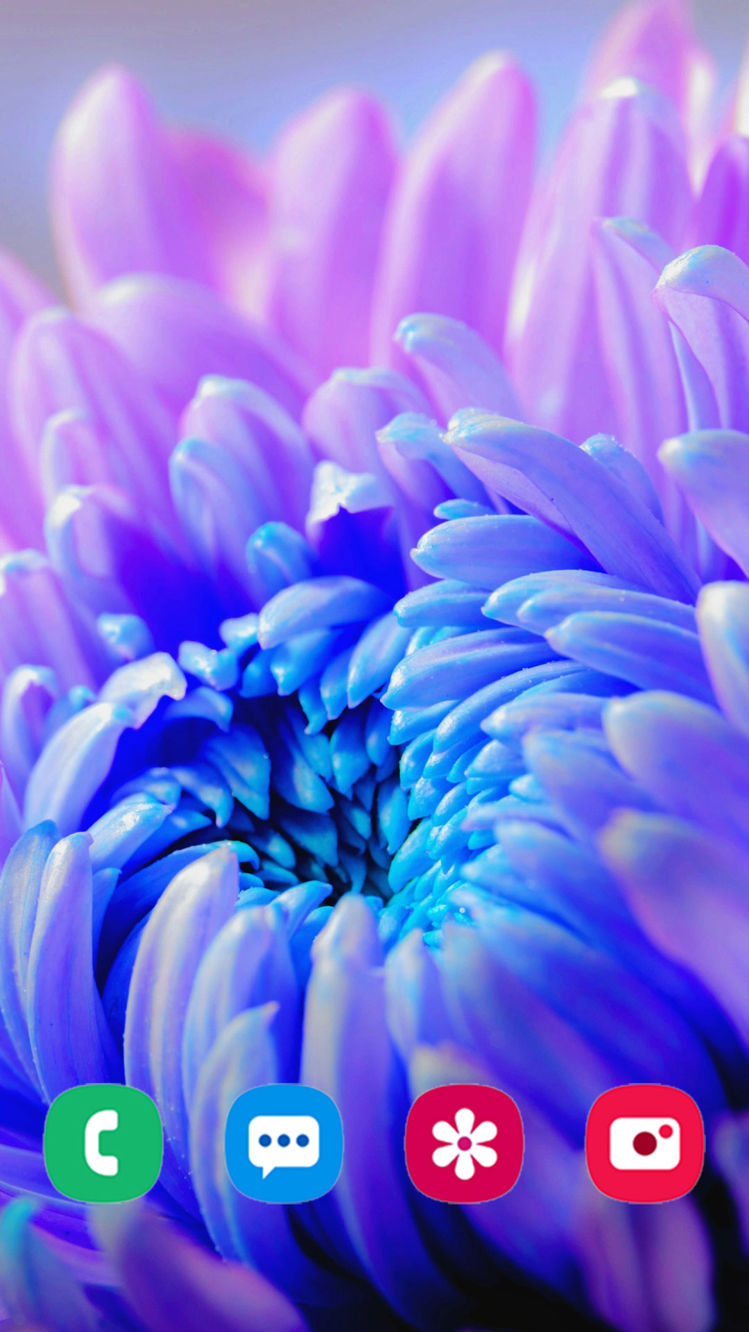 Flower Wallpapers - Aplicativo na Amazon Appstore
