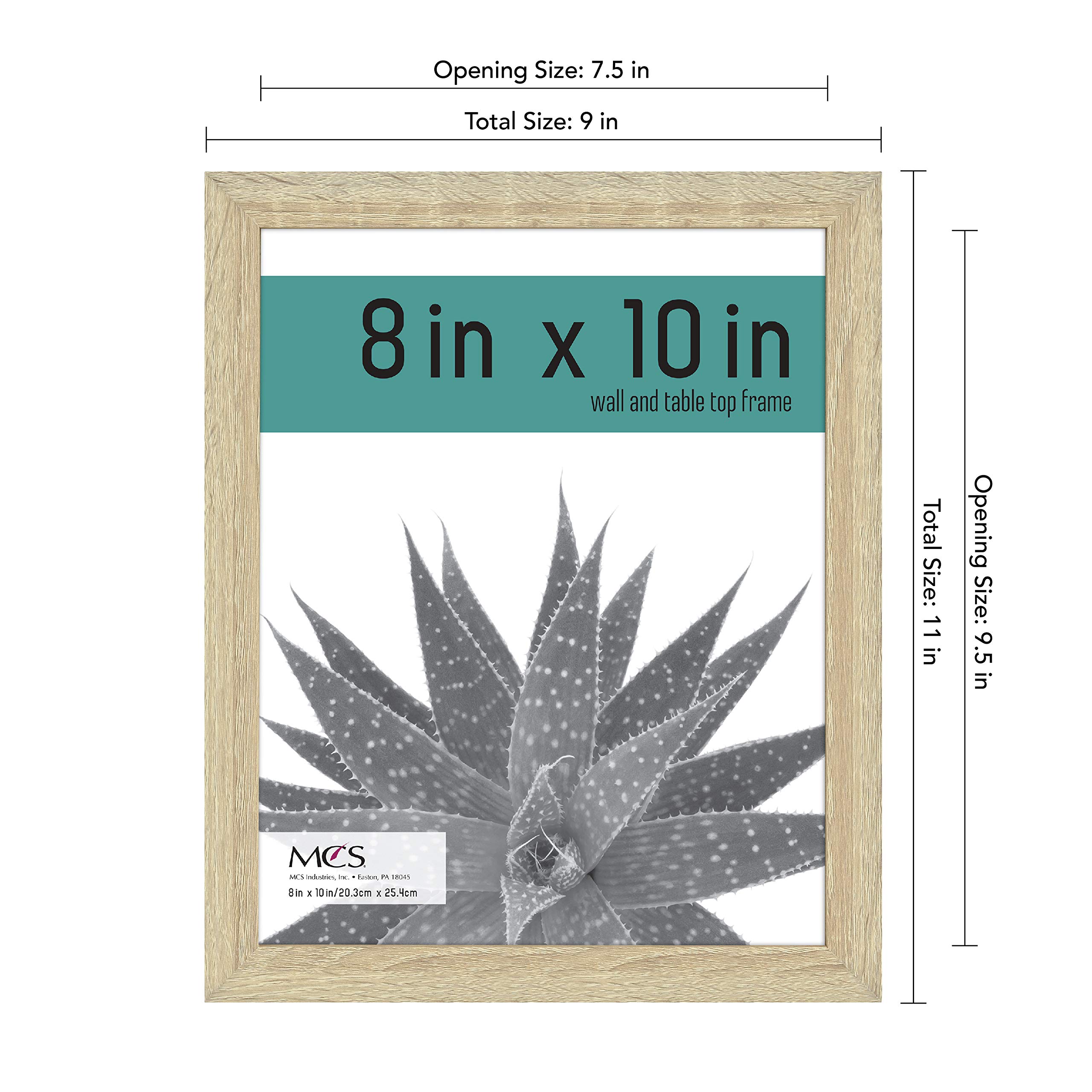 Snapklik.com : MCS Gallery Essential Picture Frames