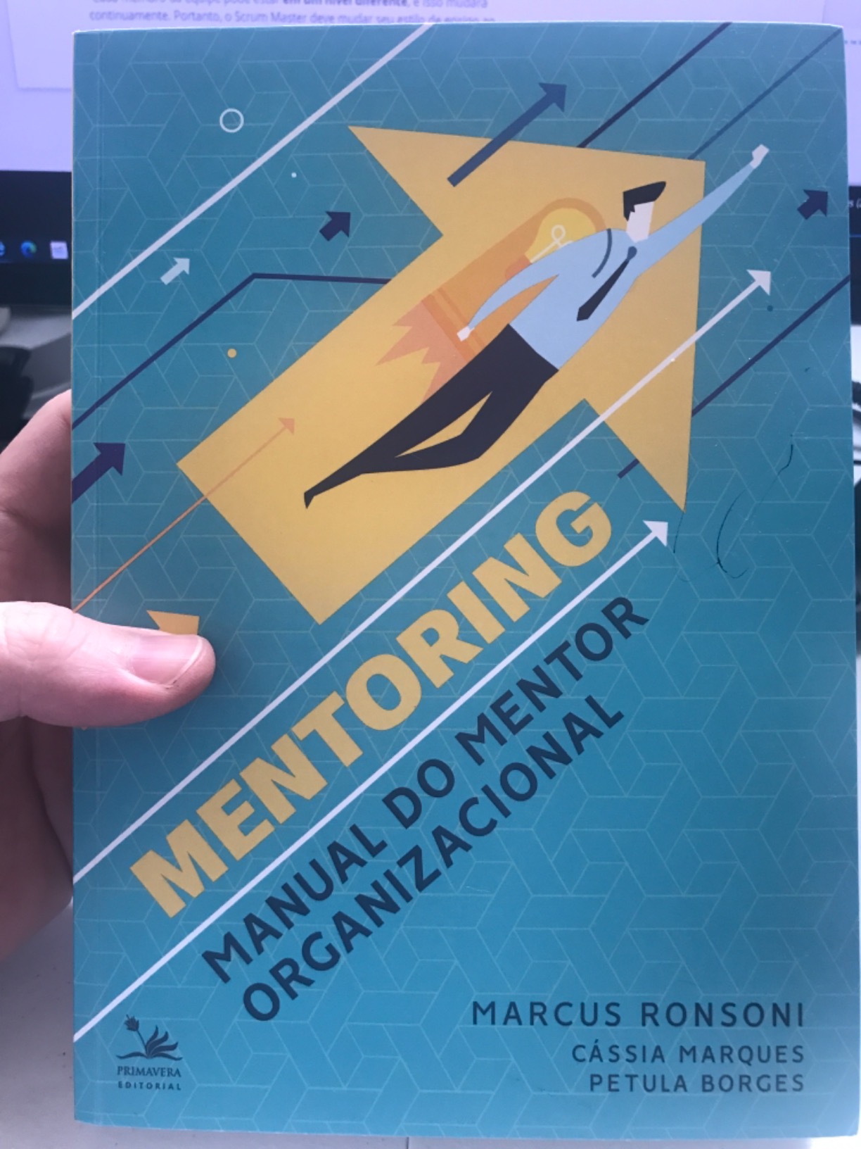 Mentoring: Manual do mentor organizacional | Amazon.com.br