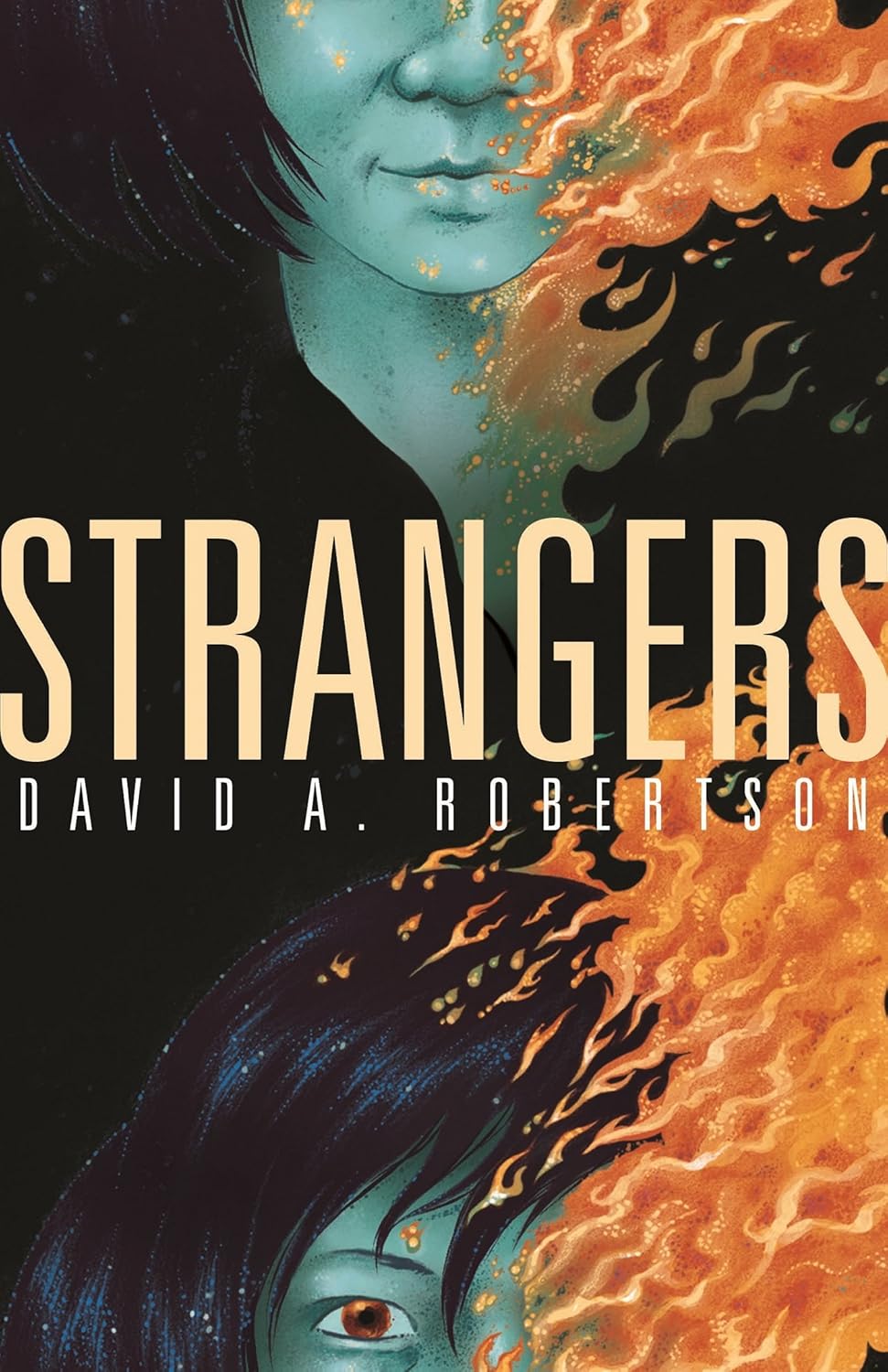 Strangers : Robertson, David A.: Amazon.ca: Books