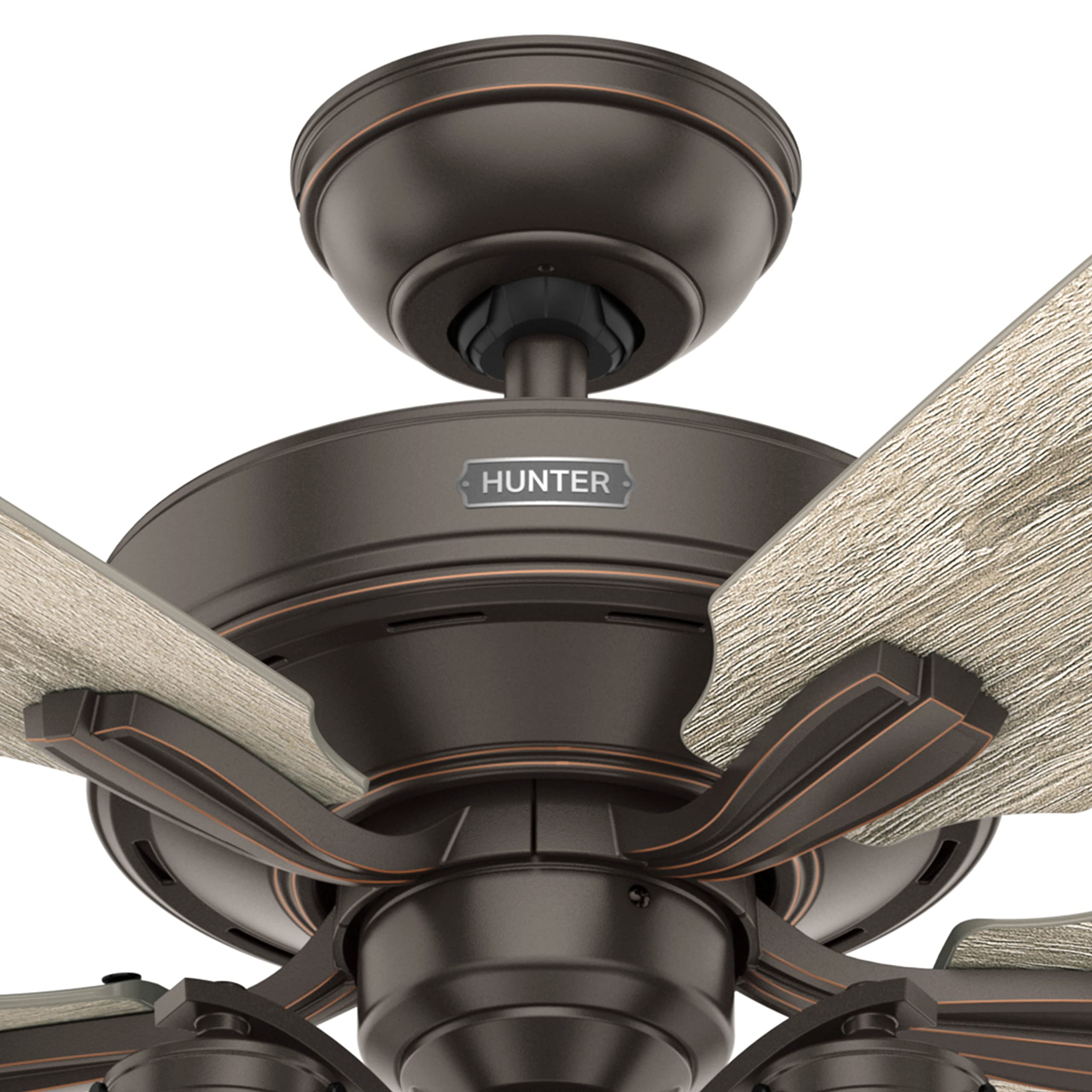Snapklik.com : Hunter Fan 60 Inch Indoor Ceiling Fan