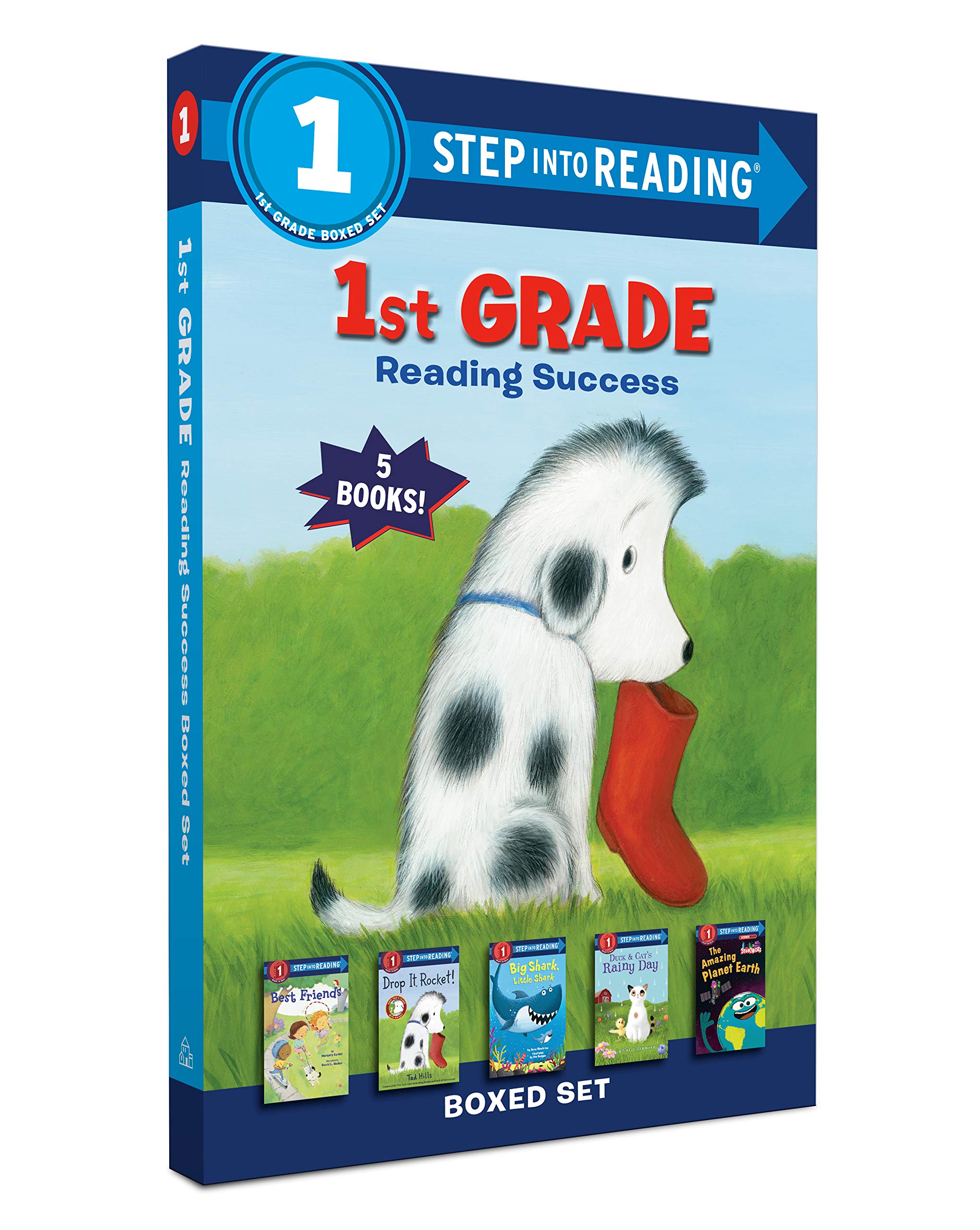 1st Grade Reading Success Boxed Set Best Friends Duck Cats | Desertcart ...