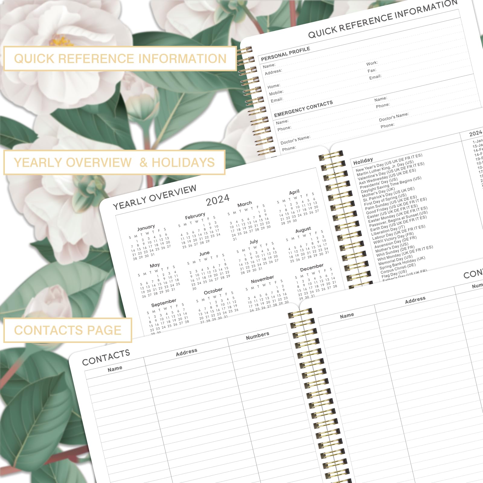 Snapklik.com : Academic Planner - 8" X 10", July 2024 - June 2025 ...