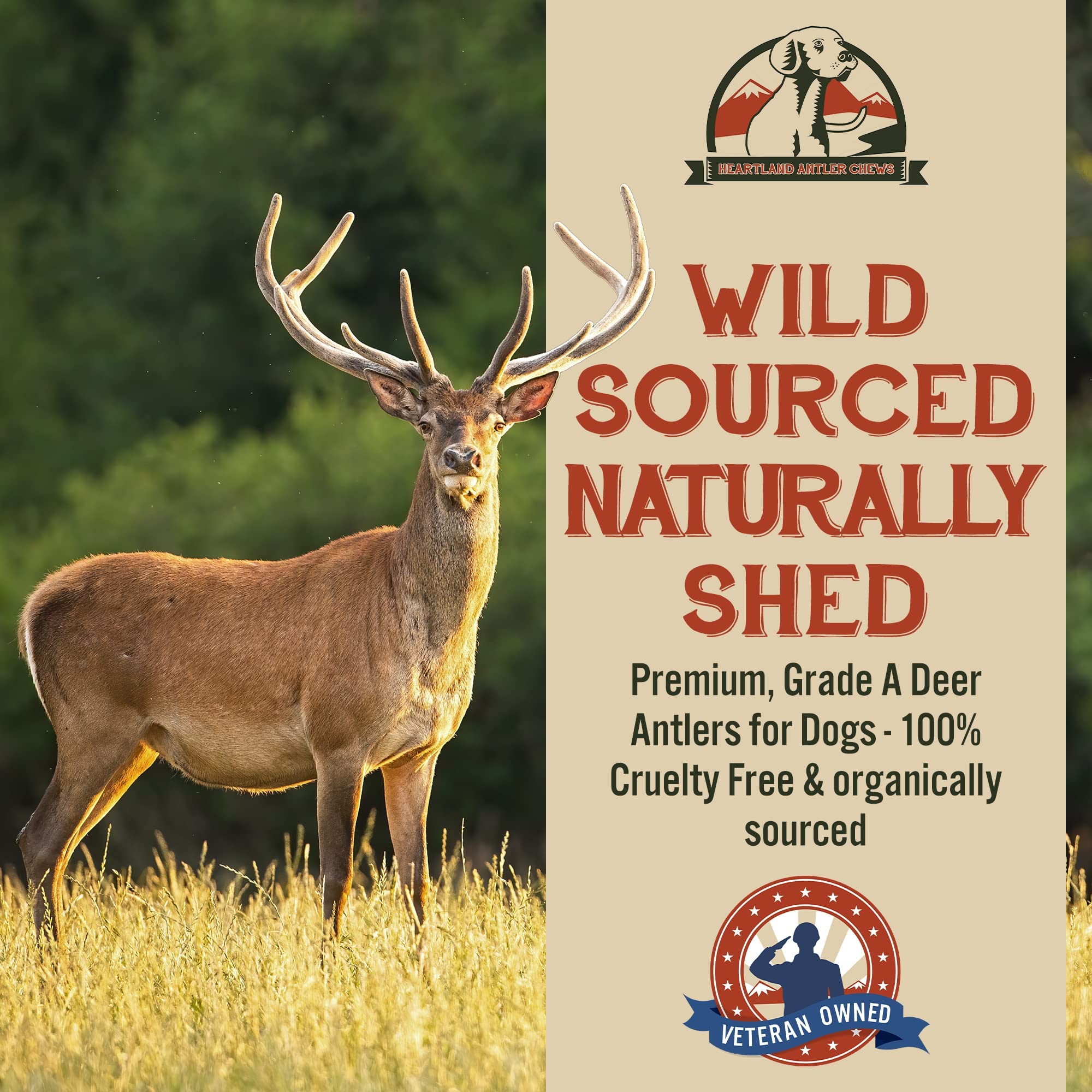 Are Fresh Deer Antlers Good For Dogs