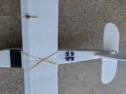 STINGRAY J-Wings J-Trainer RC Airplane Kit - Beginner's India | Ubuy
