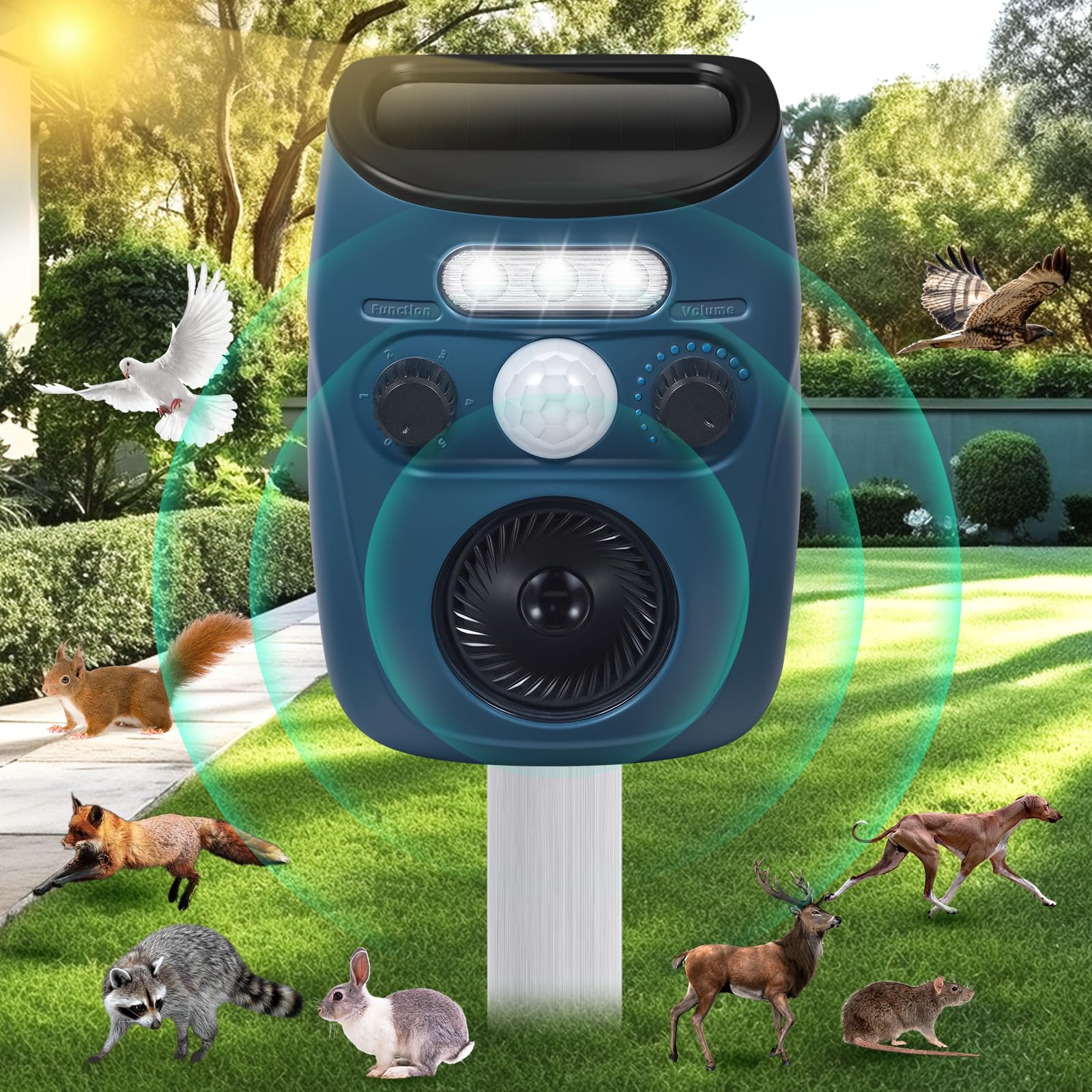 Amazon.com: Upgraded Solar Ultrasonic Bird Repeller Bird Deterrents for ...