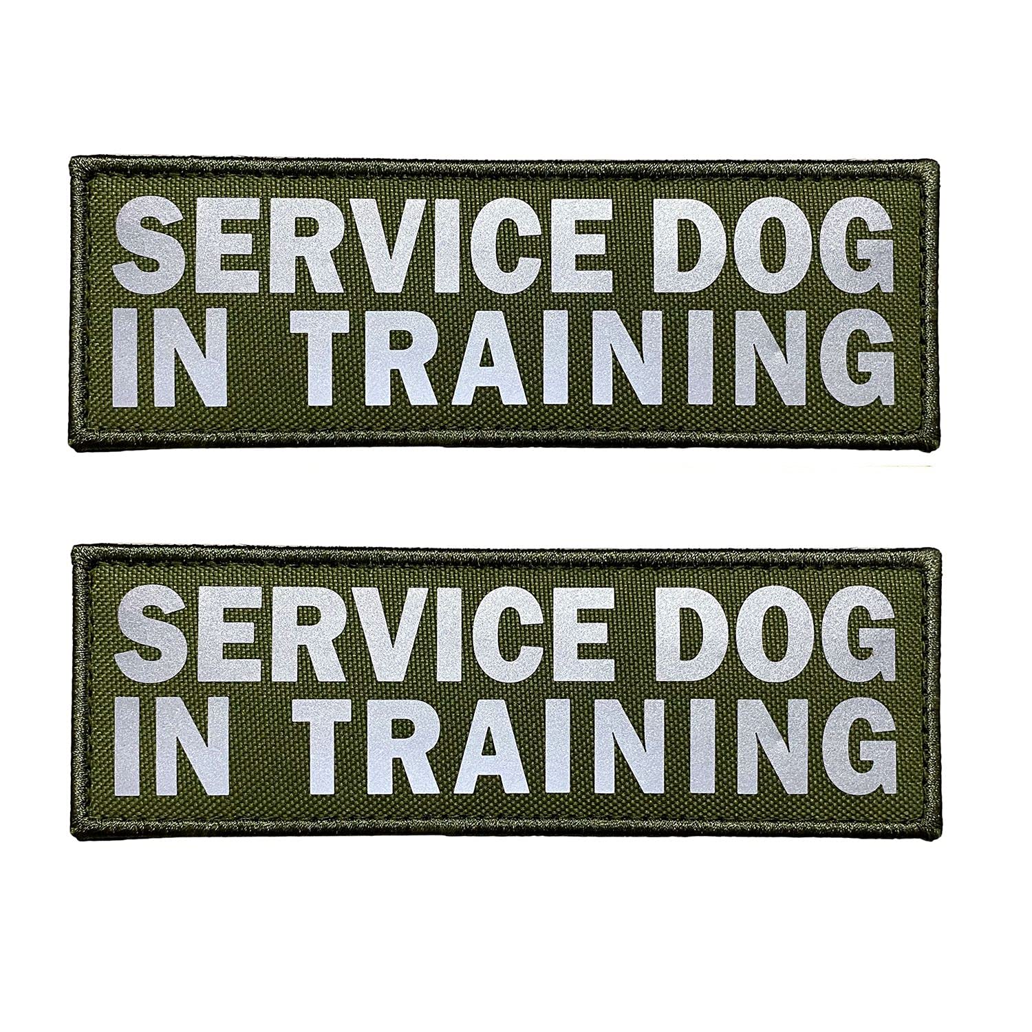 Amazon.com: JUJUPUPS 2 Pack Reflective Tactical Dog Patches Service Dog ...