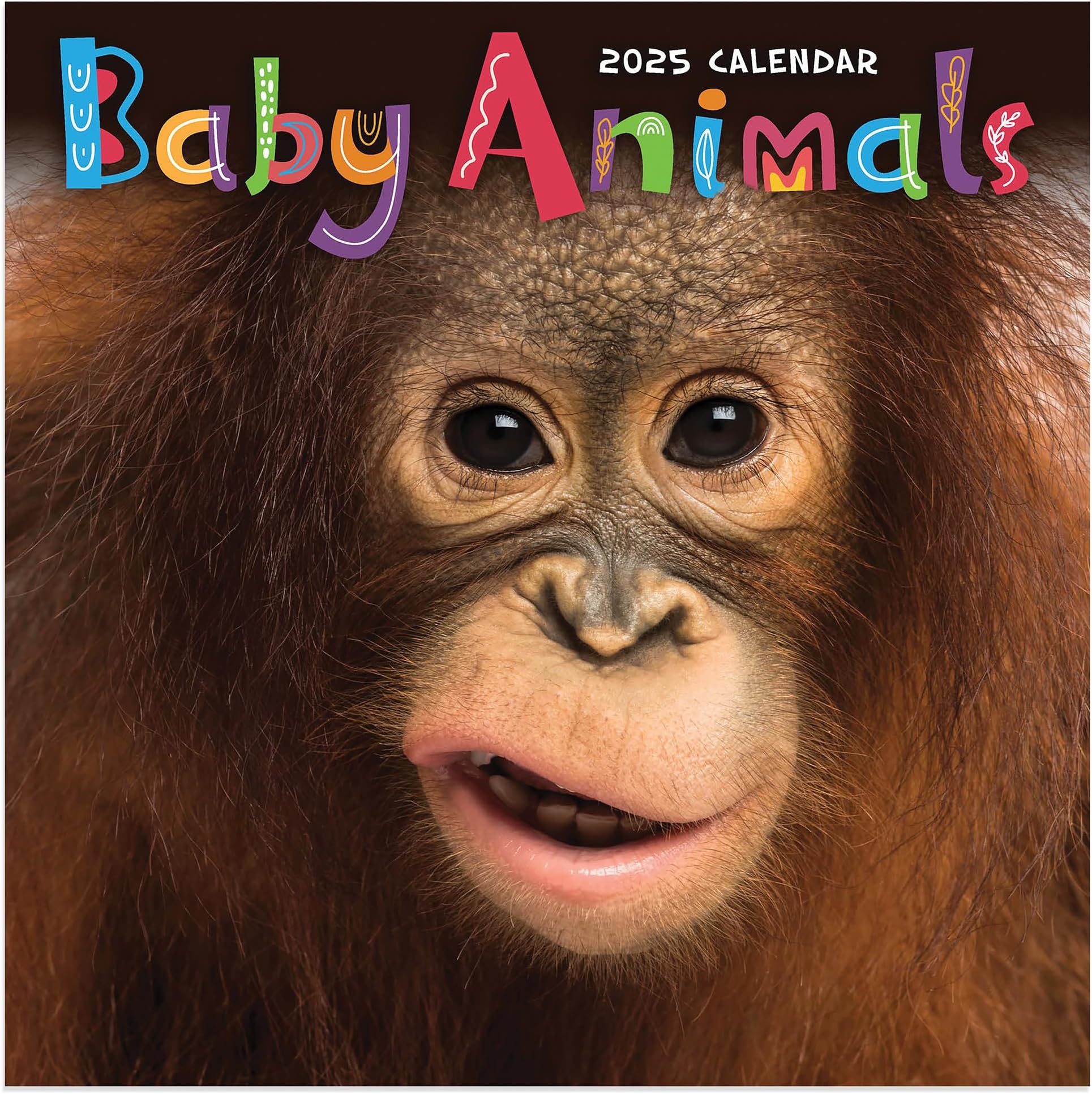 Amazon.com: Animal Babies Calendar 2025 - Deluxe 2025 Baby Animals Mini ...