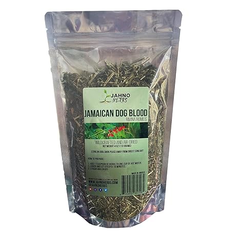 Amazon.com : Jamaican Dog Blood Herb (Fertility Bush) Rivina Humilis ...