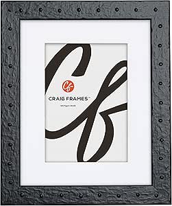 Amazon.com - Craig Frames Rivet, 11x17 Picture Frame Matted for an 8x12 ...