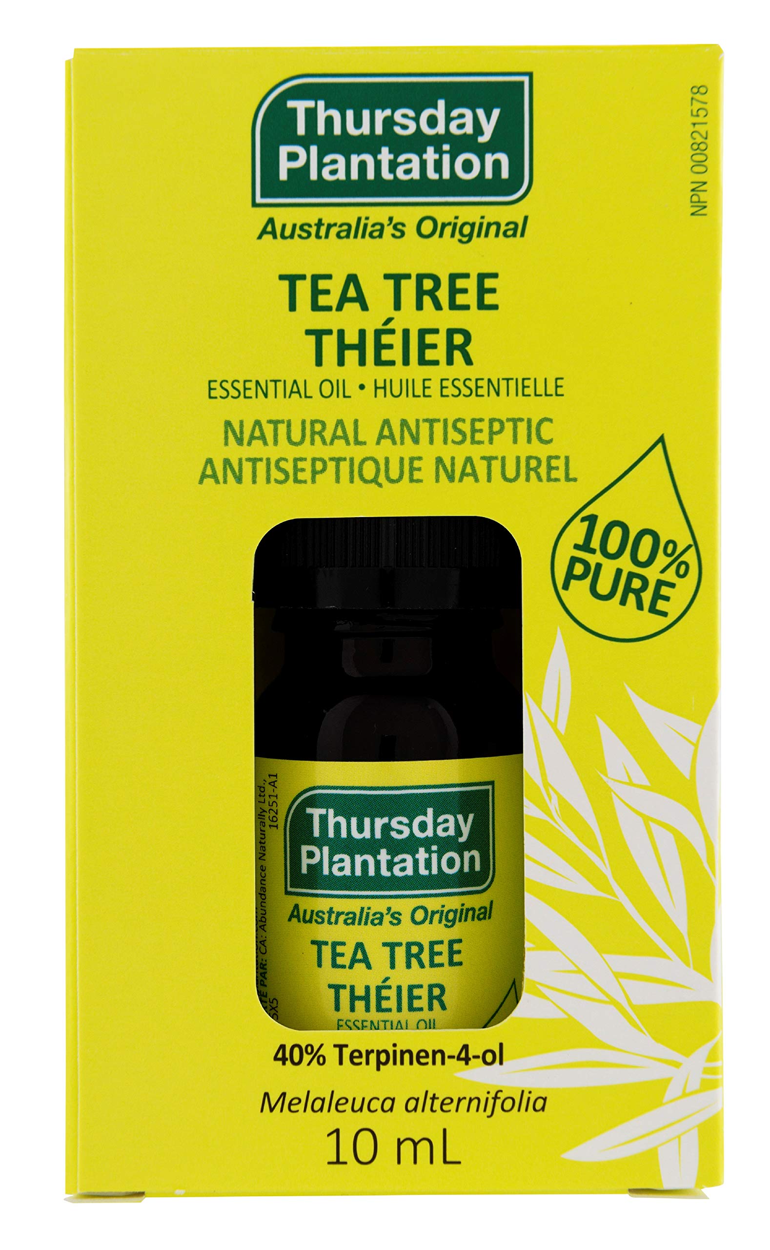 Thursday Plantation 100% Pure Tea Tree Oil - Ideal for Minor Cuts ...