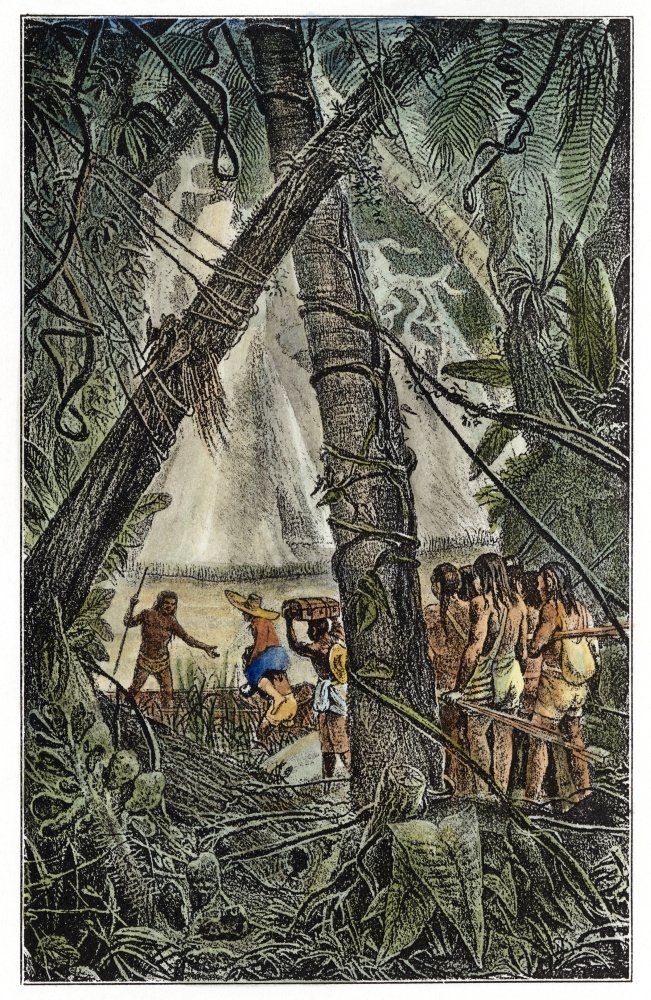 Amazon Exploration Nan Exploring Expedition Along The Amazon River in ...