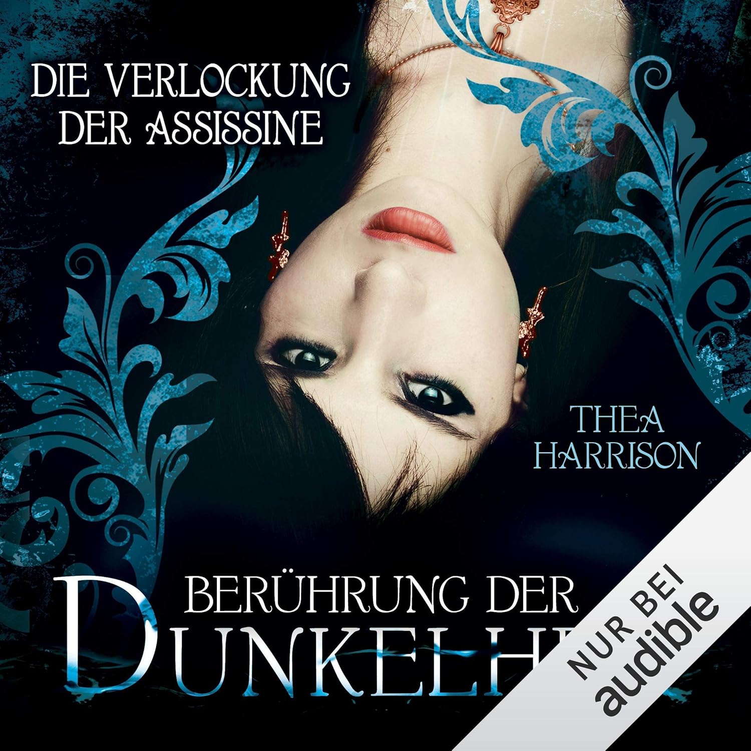 Amazon.com: Die Verlockung der Assissine: Berührung der Dunkelheit 4 ...