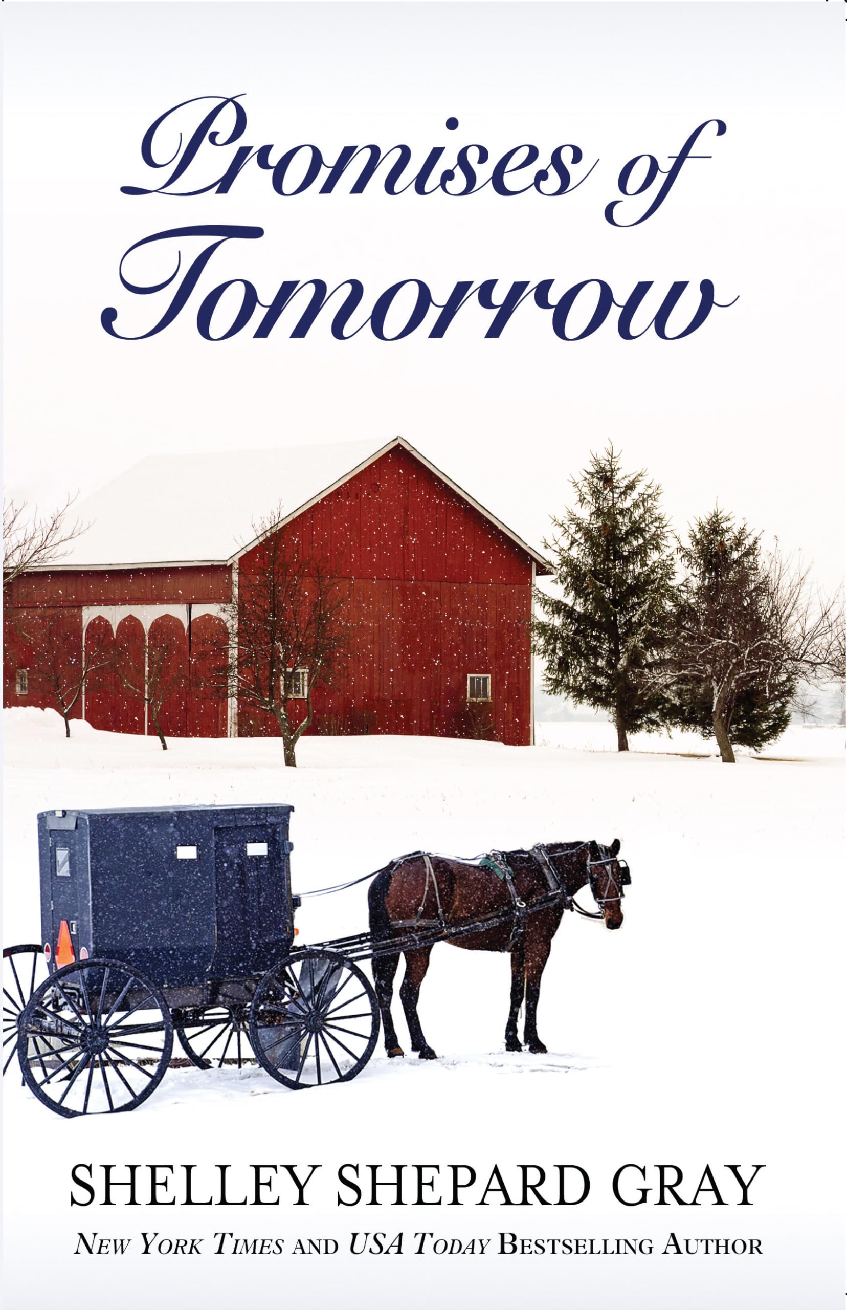 Promises of Tomorrow: Gray, Shelley Shepard: 9798885787970: Amazon.com ...