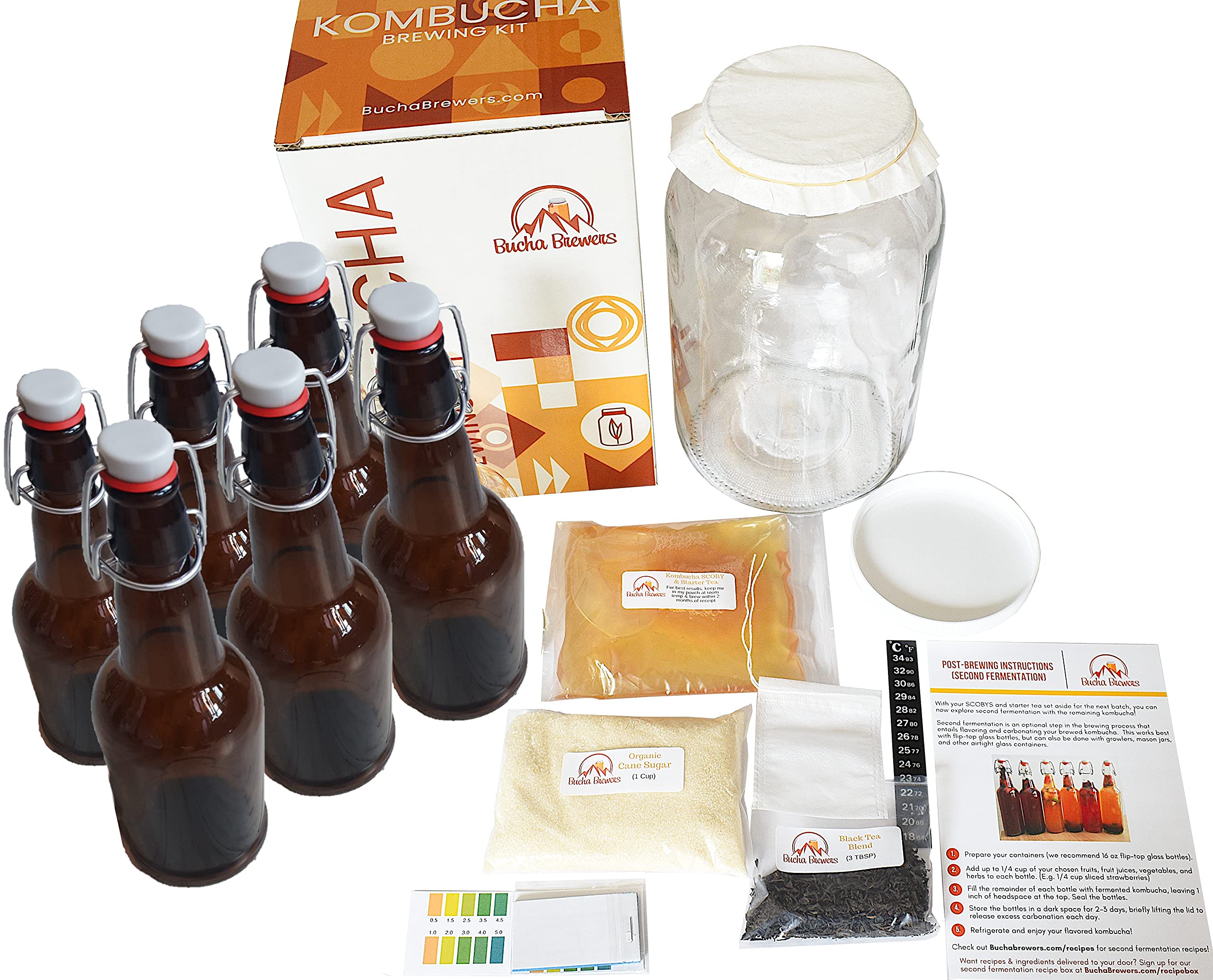 Amazon.com: Bucha Brewers Deluxe Kombucha Starter Kit with Kombucha ...