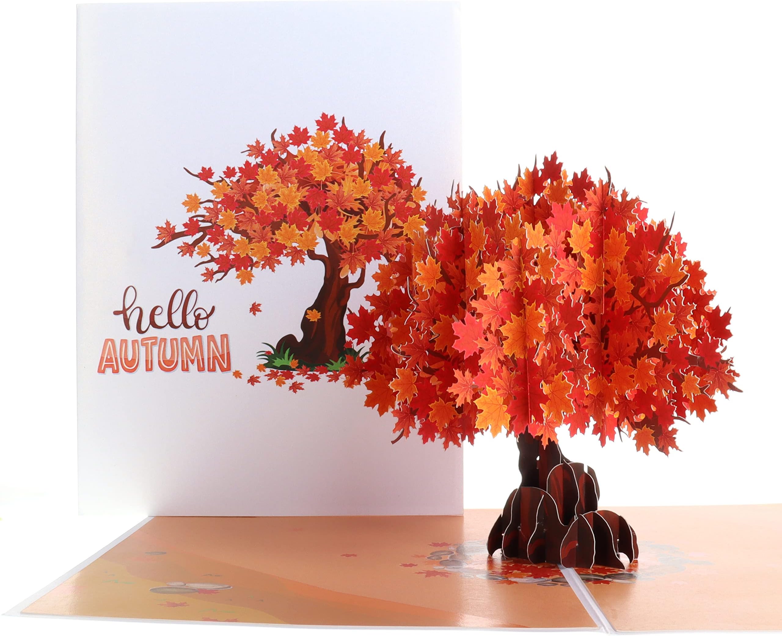 Amazon.com : iGifts And Cards Hello Autumn Maple Magic 3D Pop Up Card ...
