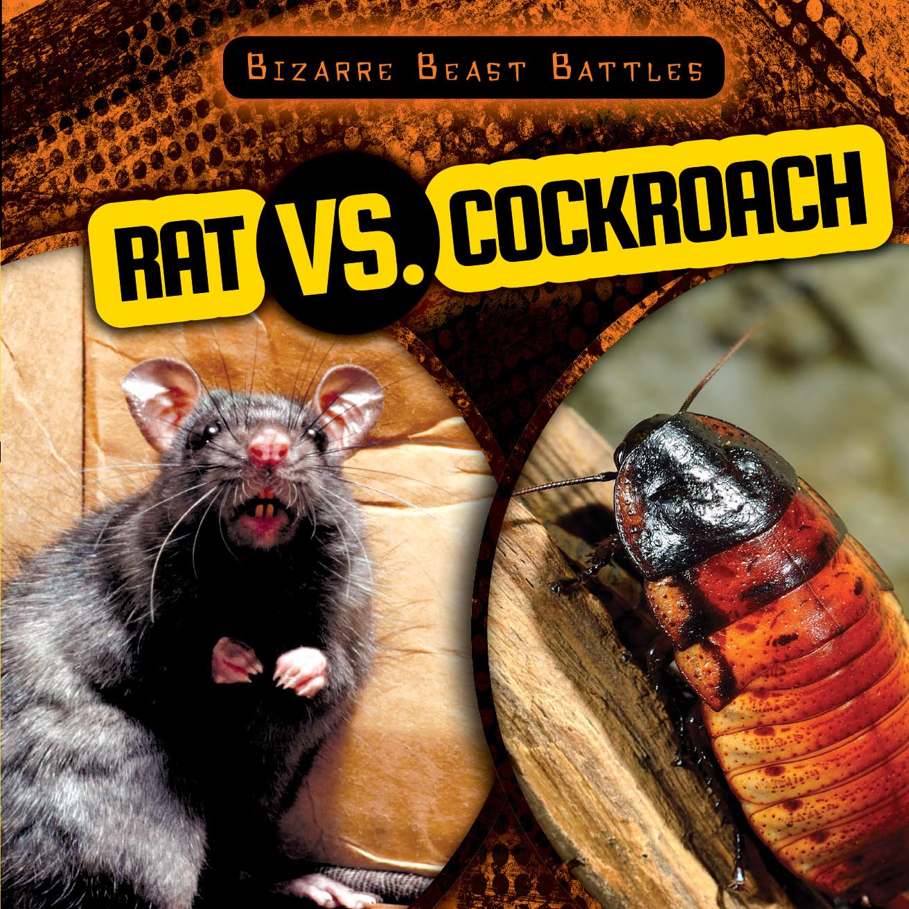 Rat VS. Cockroach (Bizarre Beast Battles): Herriott, Charlotte ...