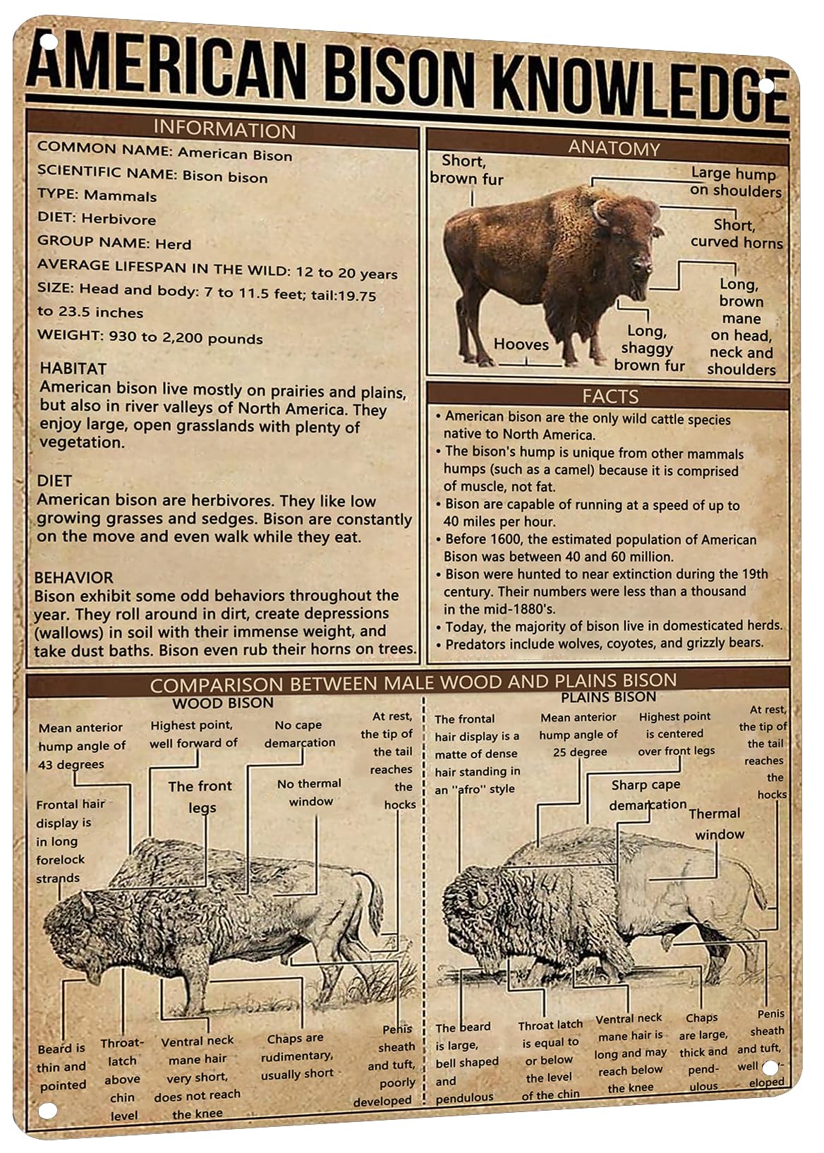 Amazon.com : HYBLOM American Bison Knowledge Metal Sign - Vintage ...