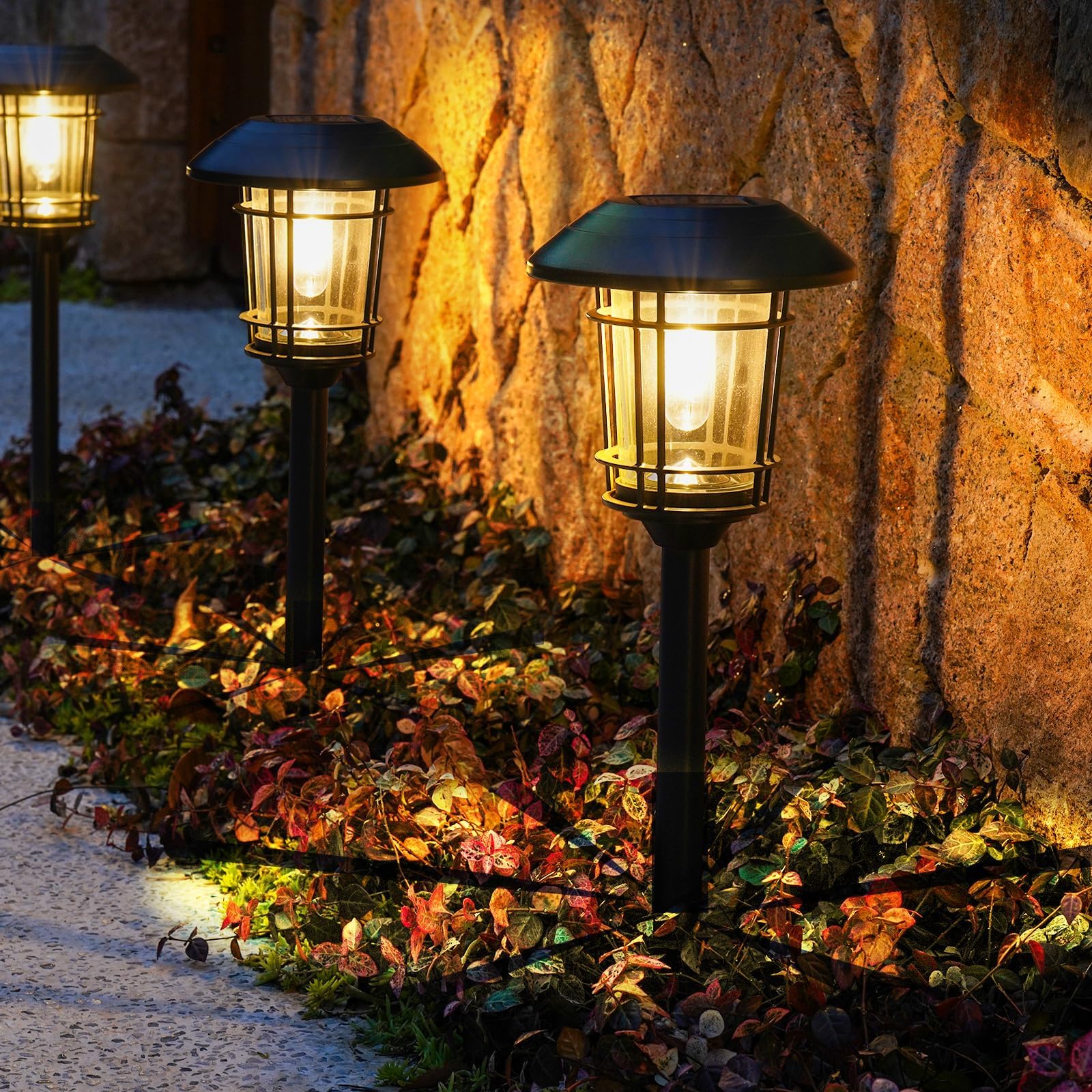 Amazon.com : Alpan 10192 8 LED Pathway Solar Lights, One Size, Oil ...