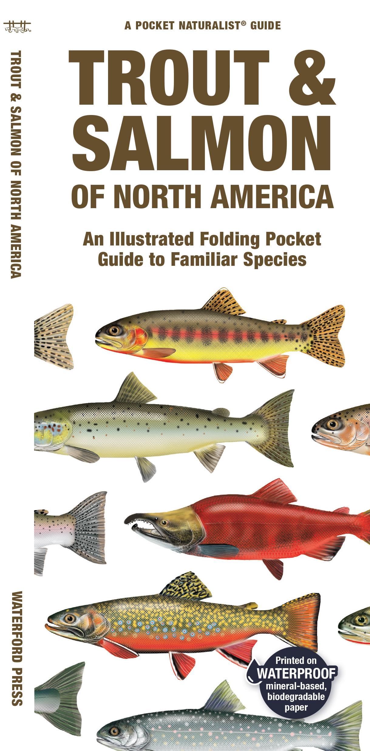 Trout & Salmon of North America: An Illustrated Folding Pocket Guide to ...