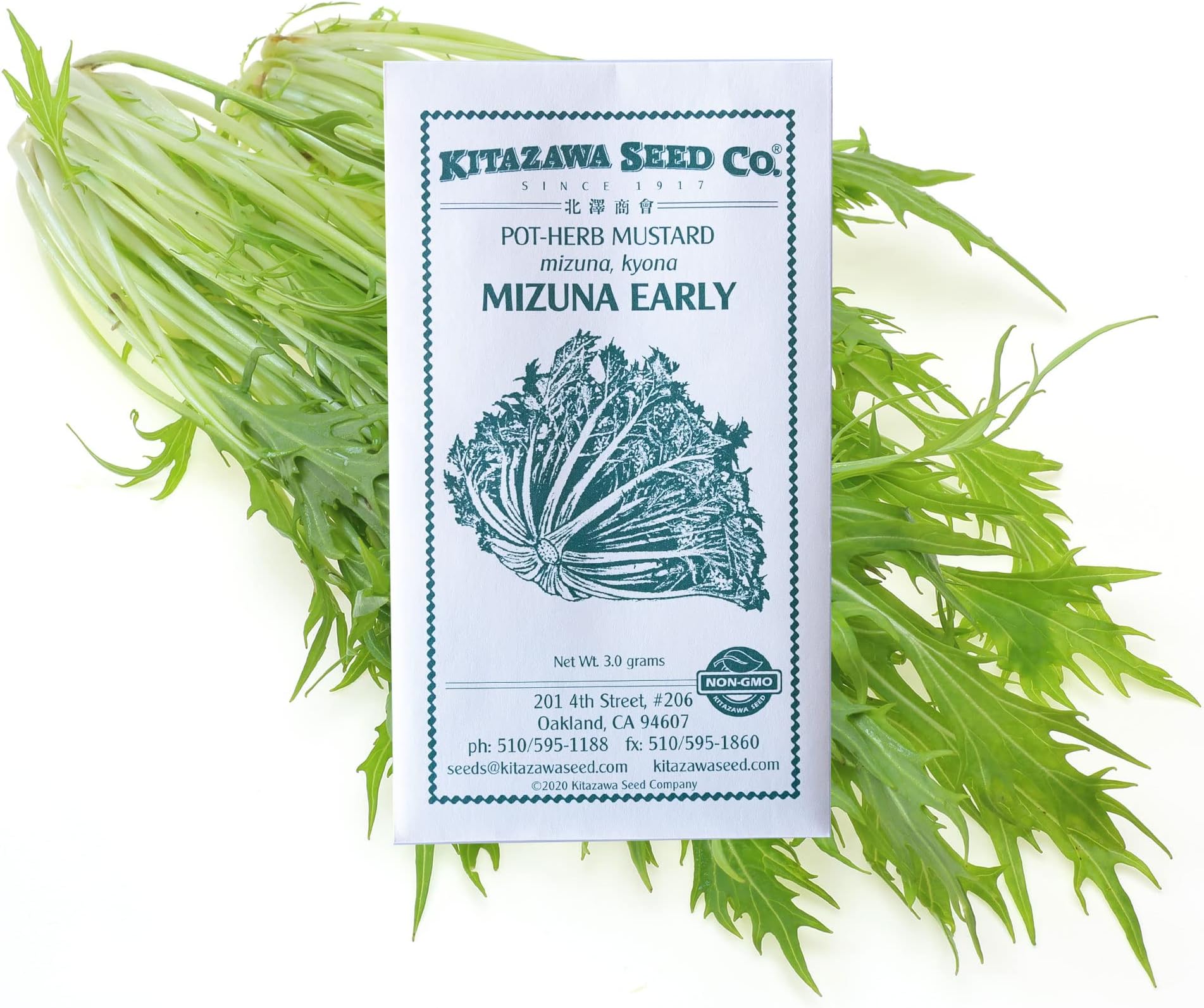 Amazon.com : Mustard Seeds - Mizuna, Early -3 g Packet ~1000 Seeds ...