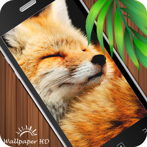Fox Wallpaper HD - App on Amazon Appstore