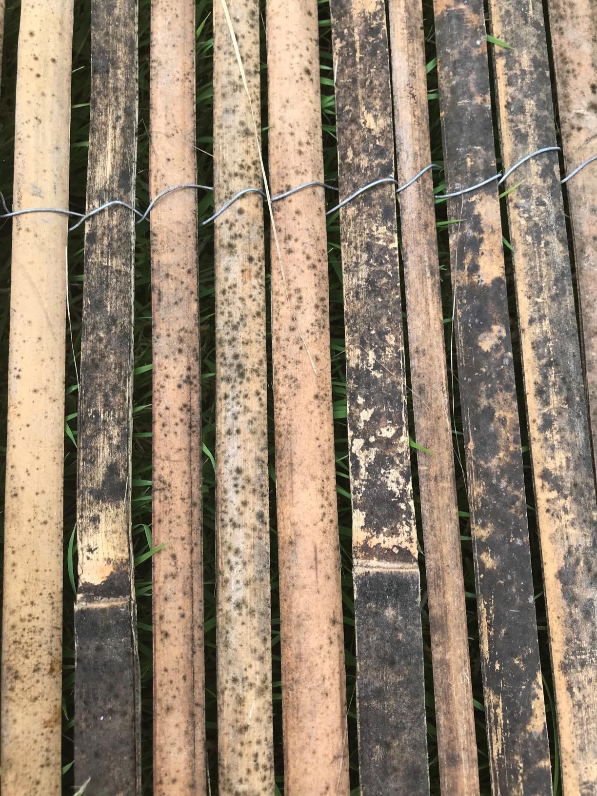 Kingfisher Split Bamboo Screen H2 x L3m : Amazon.co.uk: DIY & Tools