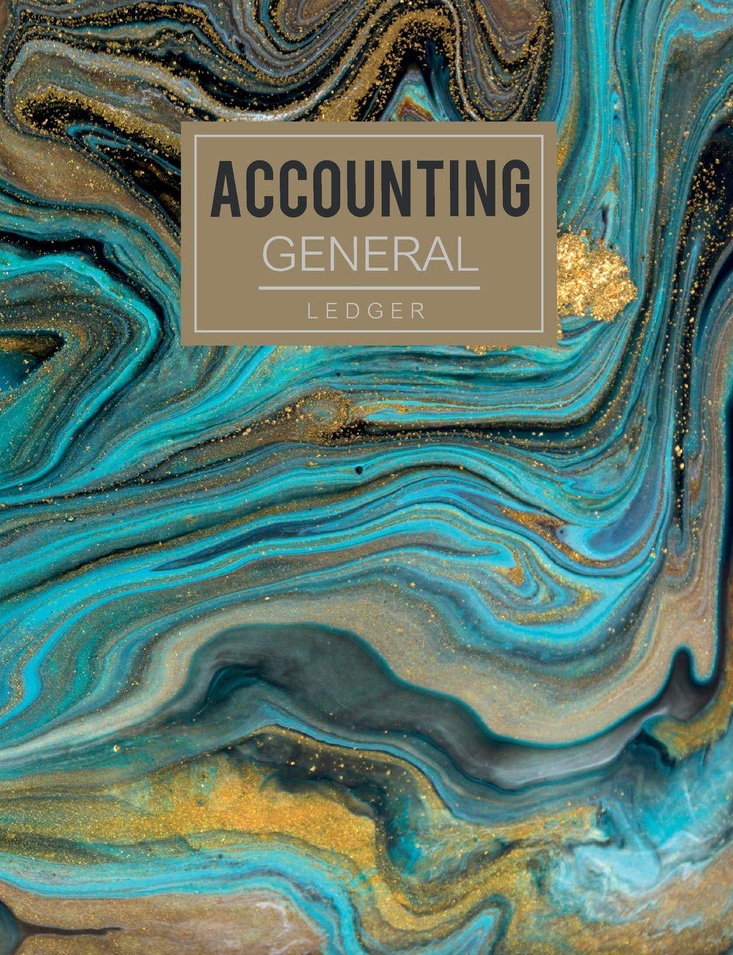 Accounting General Ledger: Simple Ledger Accounting beginners ...