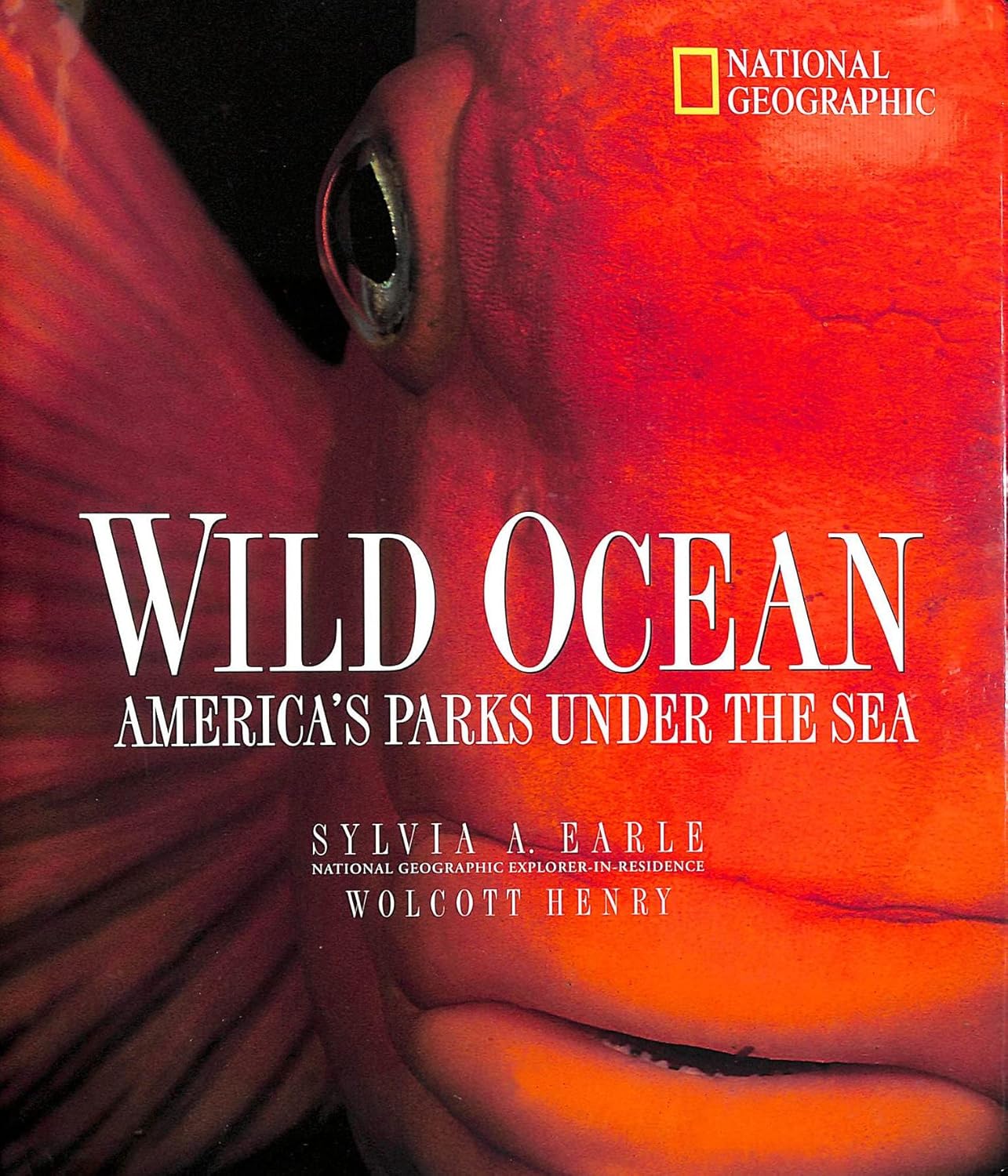 Wild Oceans: Wolcott, Henry, Earle, Sylvia A.: 9780792274698: Amazon ...
