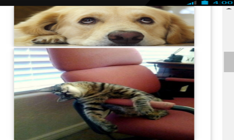 Bored Meme Generator. - App on Amazon Appstore