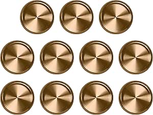 Amazon.com : Levenger Aluminum Metal Circa Discs Binder Rings for ...