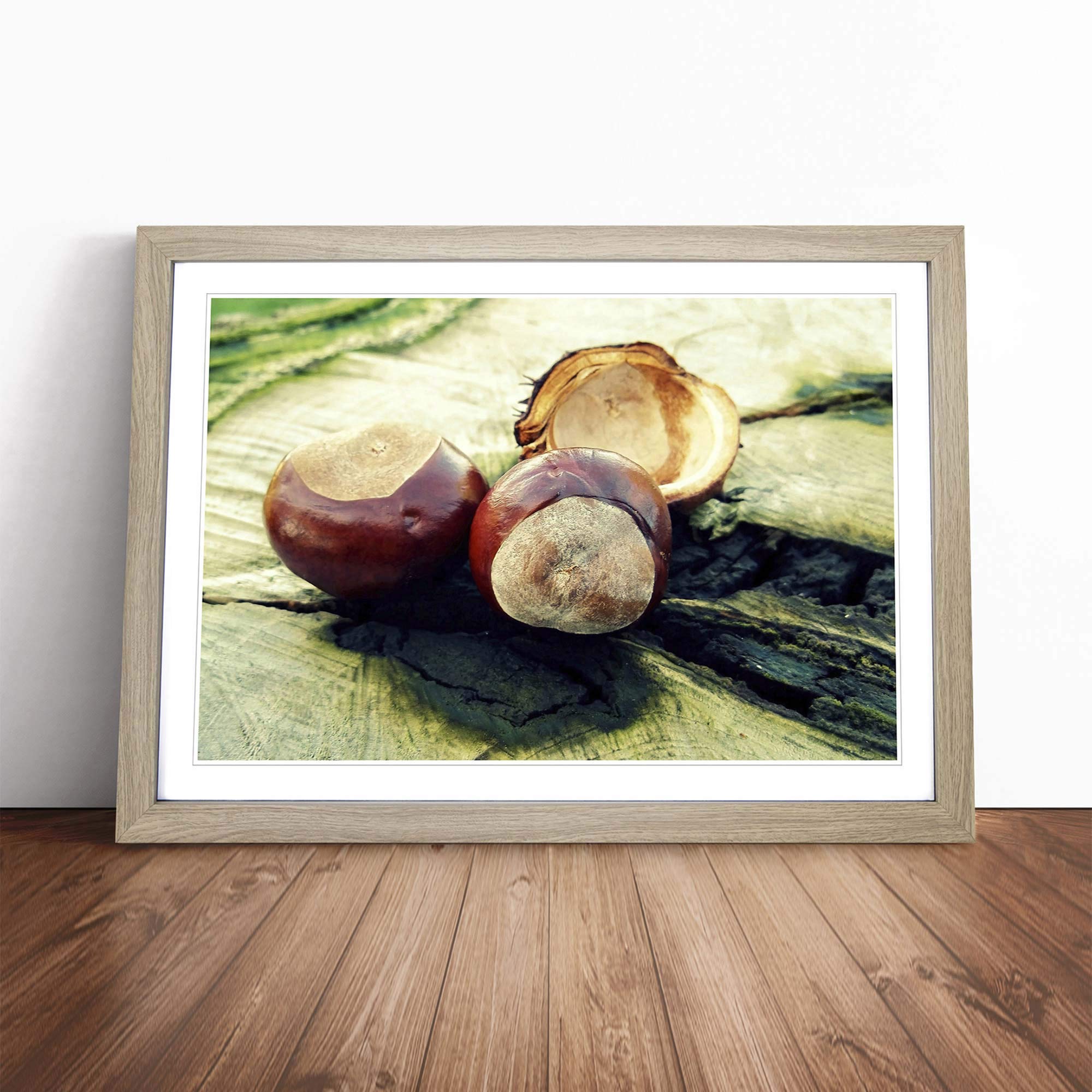 Chestnut Tree Art 670 Single Chestnut Tree Stock Vectors And Vector