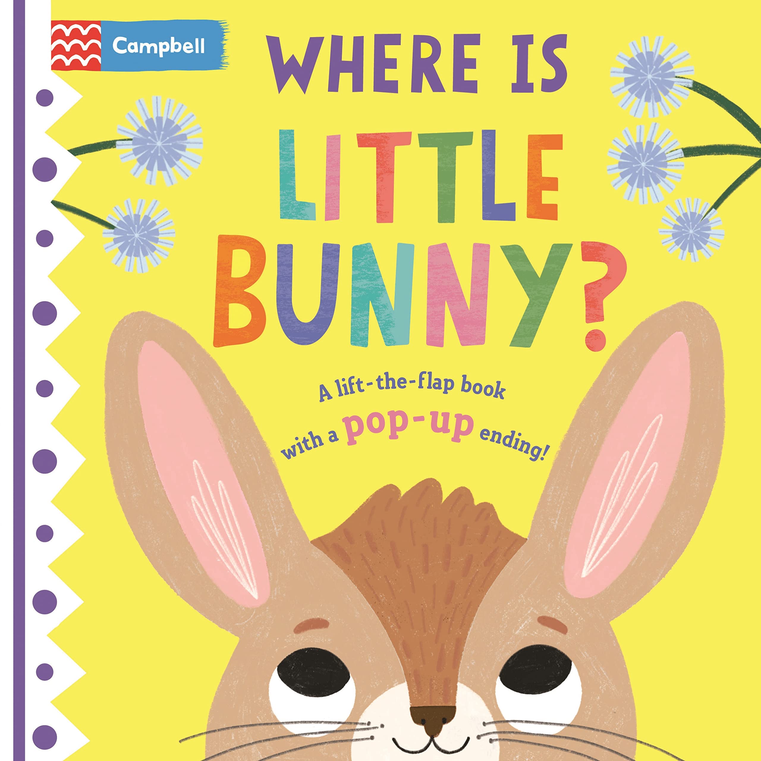Where Is Little Bunny?: The lift-the-flap book with a pop-up ending ...