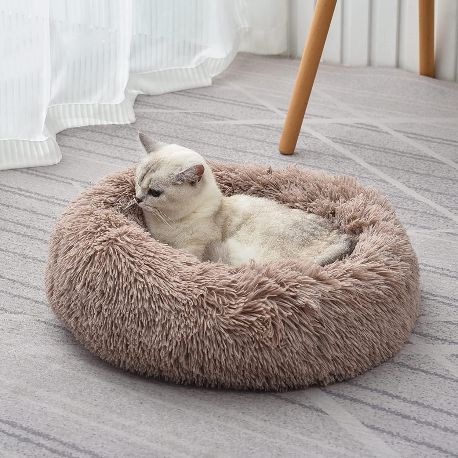 Amazon.com : Cat Beds for Indoor Cats - Cat Bed Washable 24 inches, Dog ...