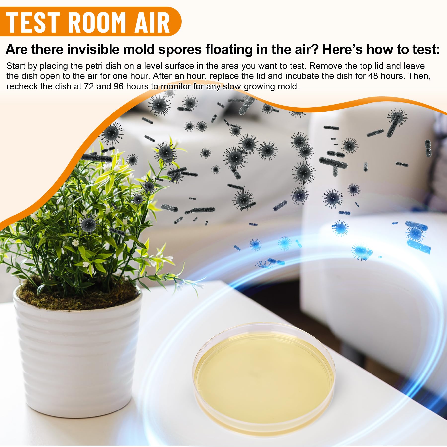 Snapklik.com : Mold Test Kit For Home Testing: 6 Counts DIY At Home ...