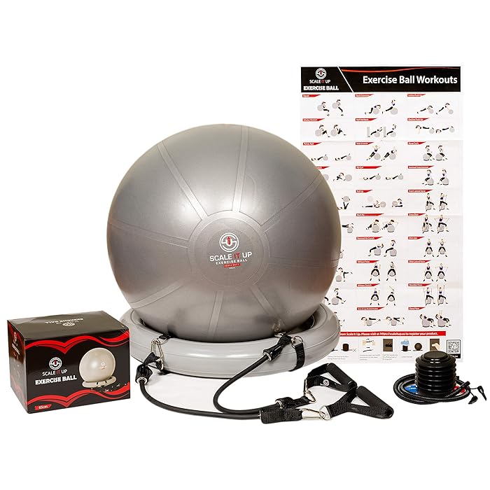 Buy Scale It Up 65cm Exercise Ball Chair w/ 15LB Resistance Bands ...