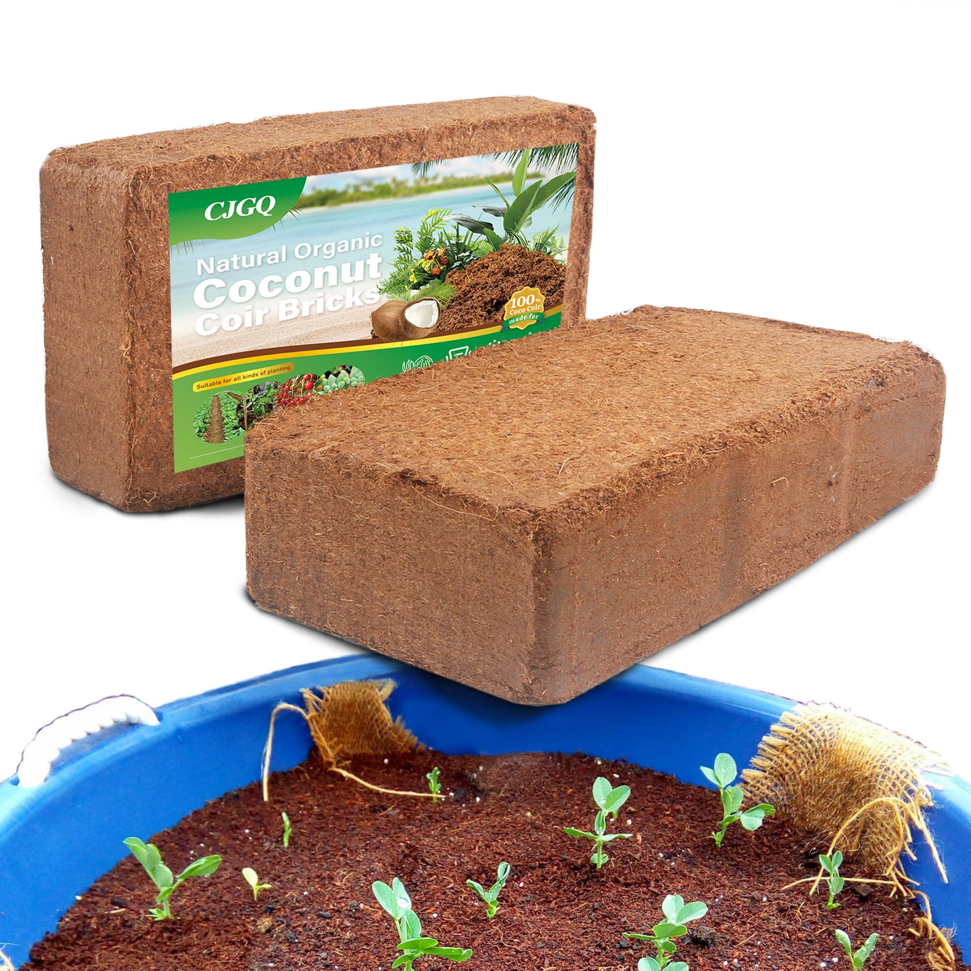 Amazon.com : Coco Coir for Organic Coconut Coir- 2 Pack Coco Coir Brick ...